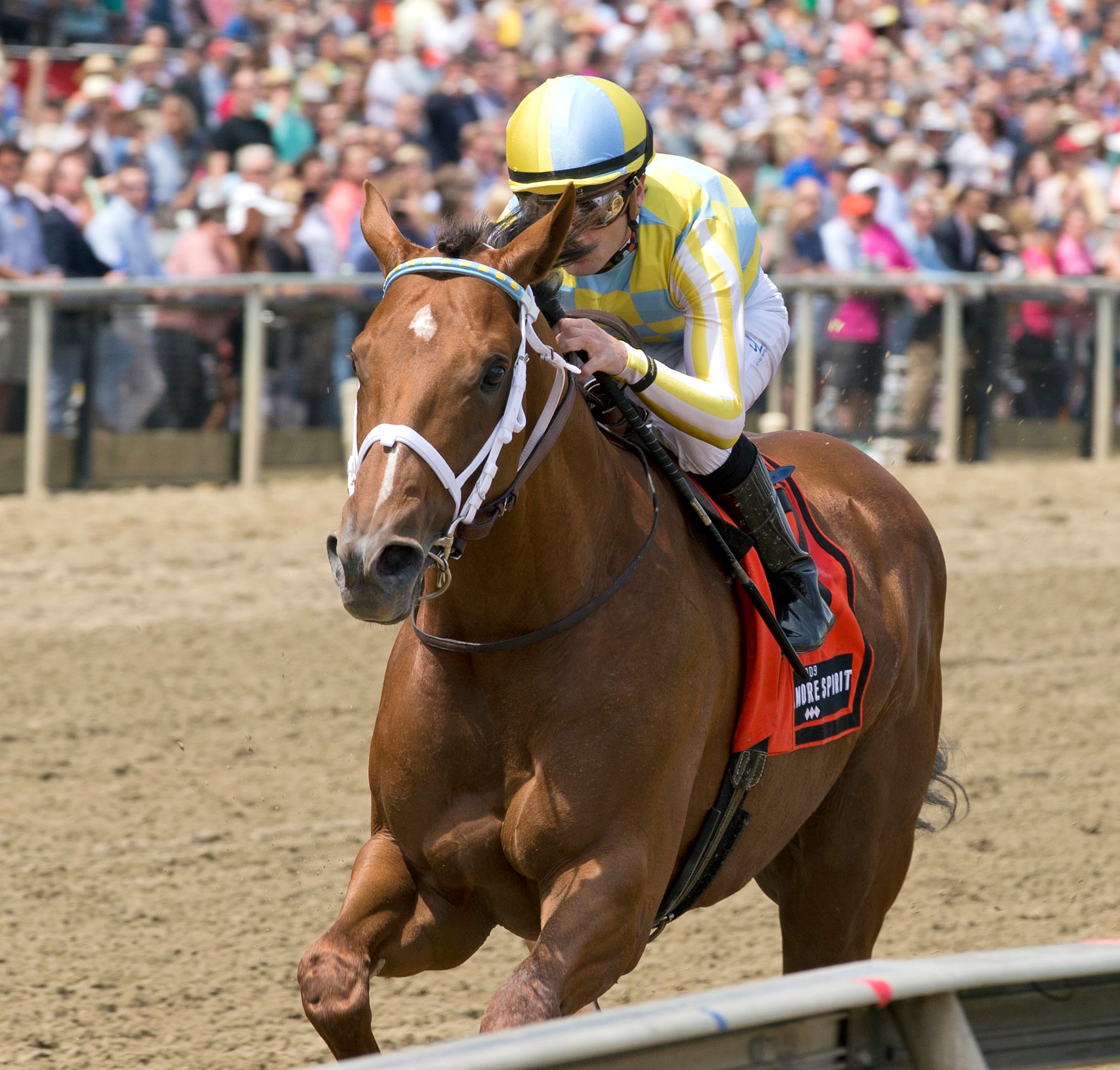 Noble Bird dominates Pimlico Special