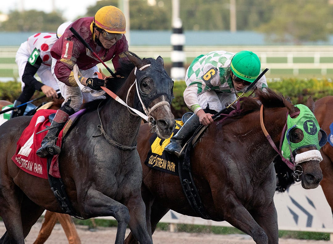 Old pro Noble Drama has shot to end losing streak