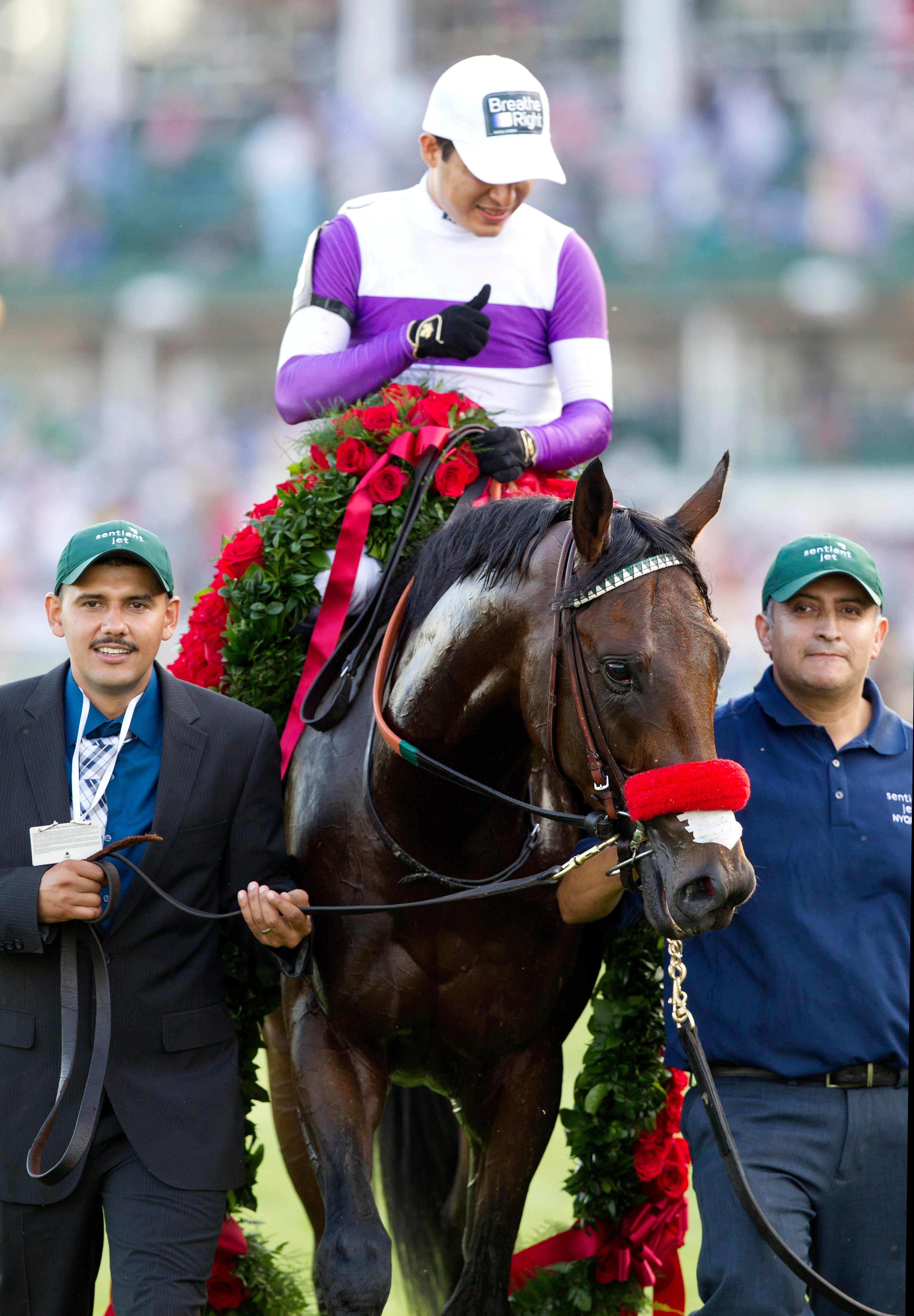 Connections have tried to keep Nyquist fresh