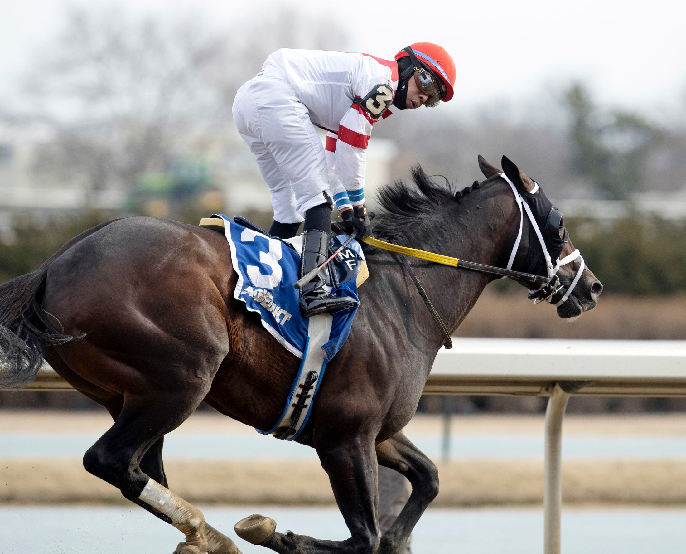 Florida-based Tom Fool winner Officiating returns for Runhappy Stakes