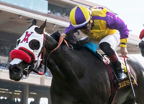 Four races, four different riders for Ollie's Candy