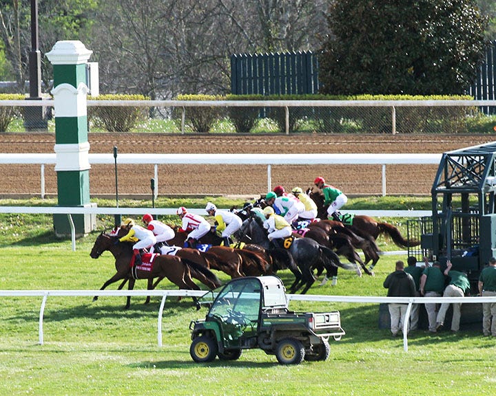 DRF's Horse Racing Playbook for Friday, October 4, 2024