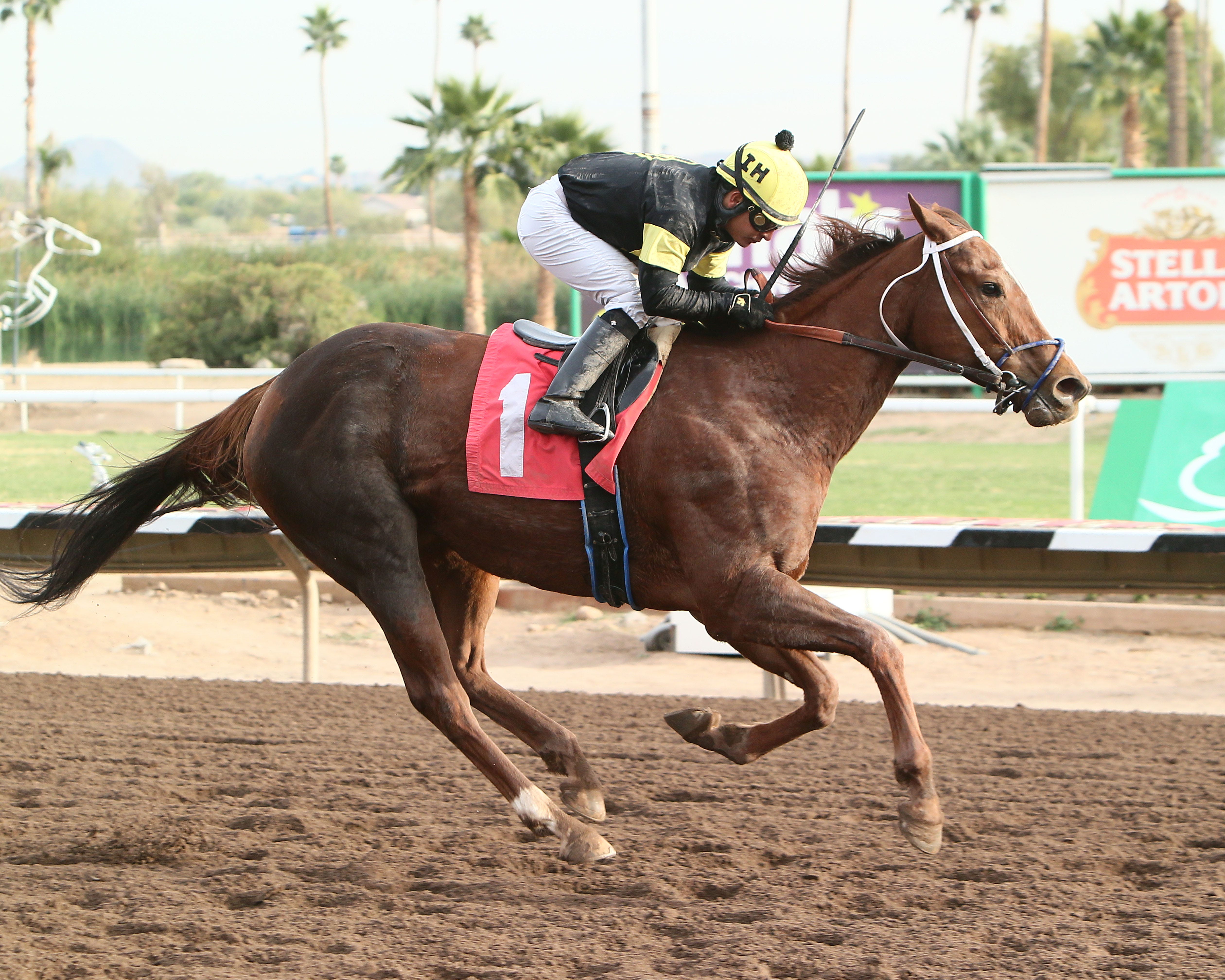 Peppy Miller finds winning form on dirt with Kachina win