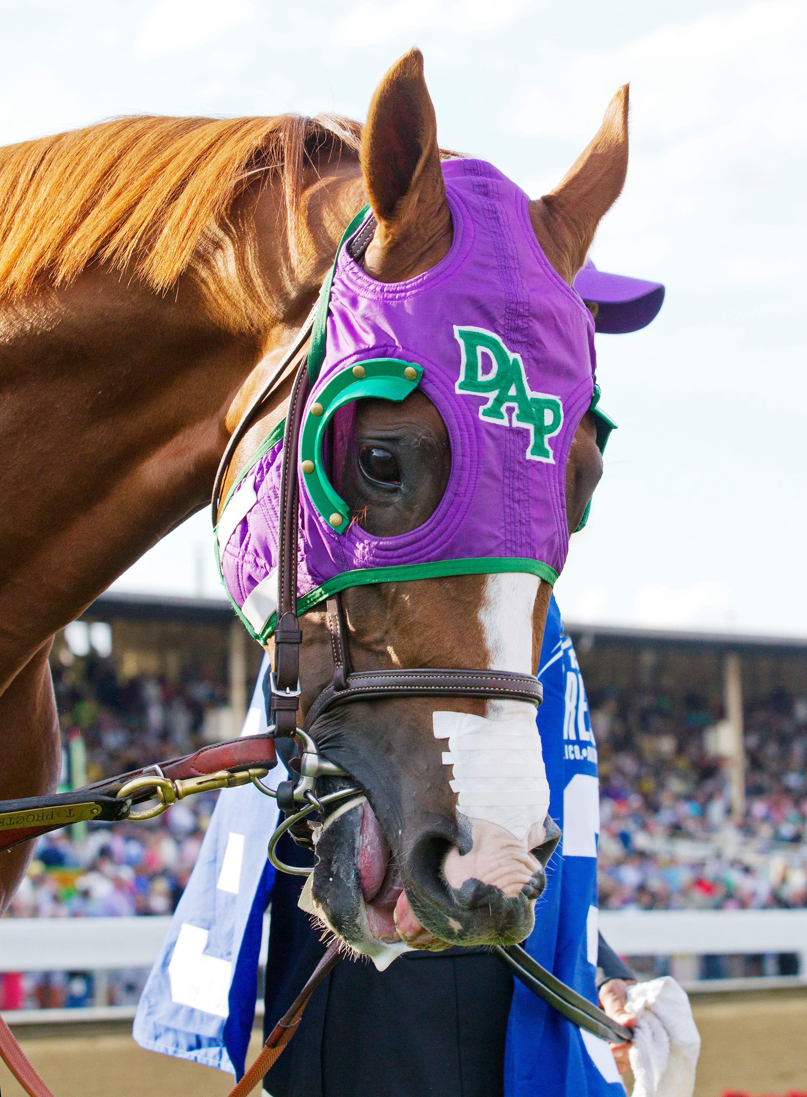 Jerardi: Big players gear up for a sequel to stellar 2014 racing season