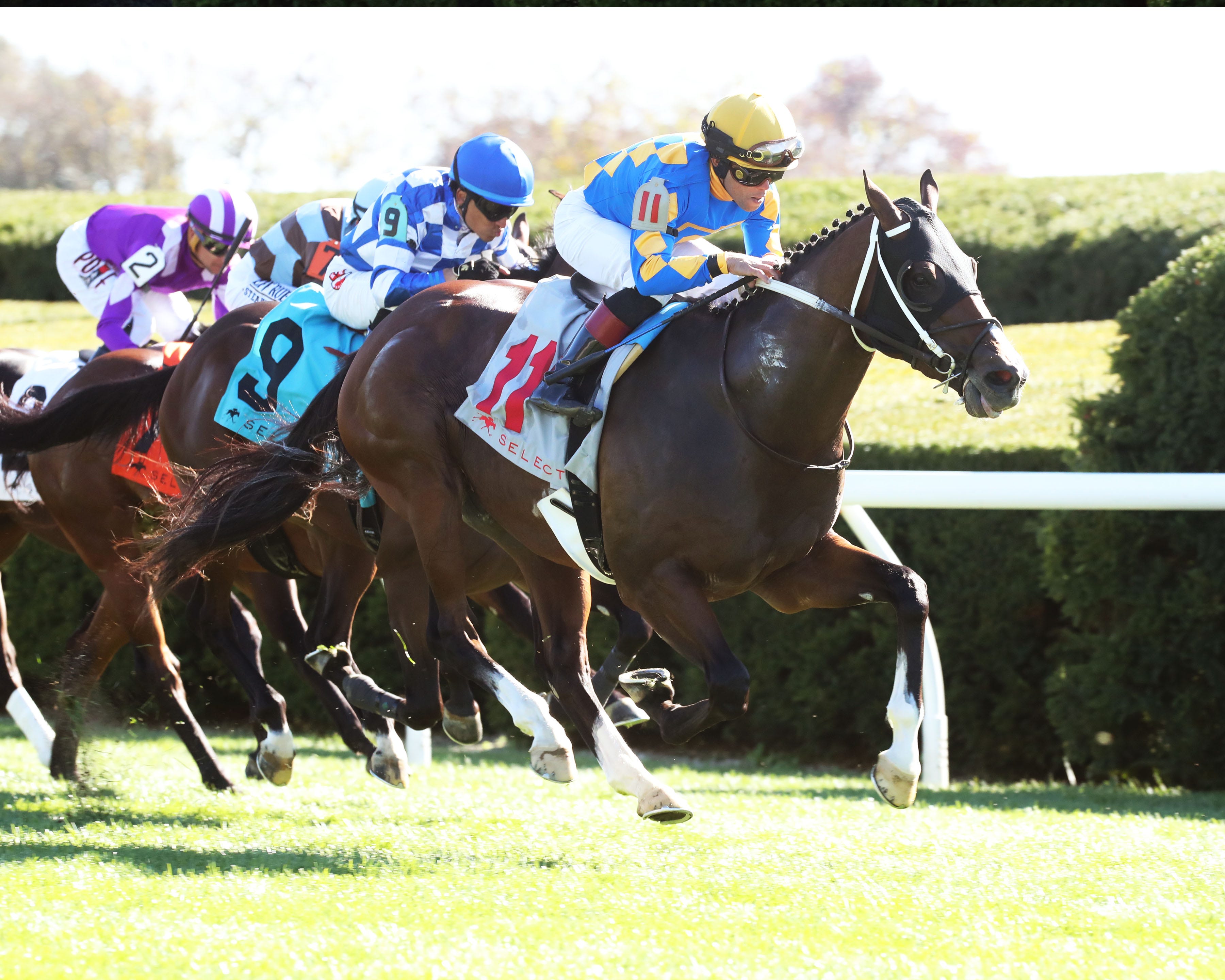 Private Creed sets mark with Indian Summer Stakes triumph