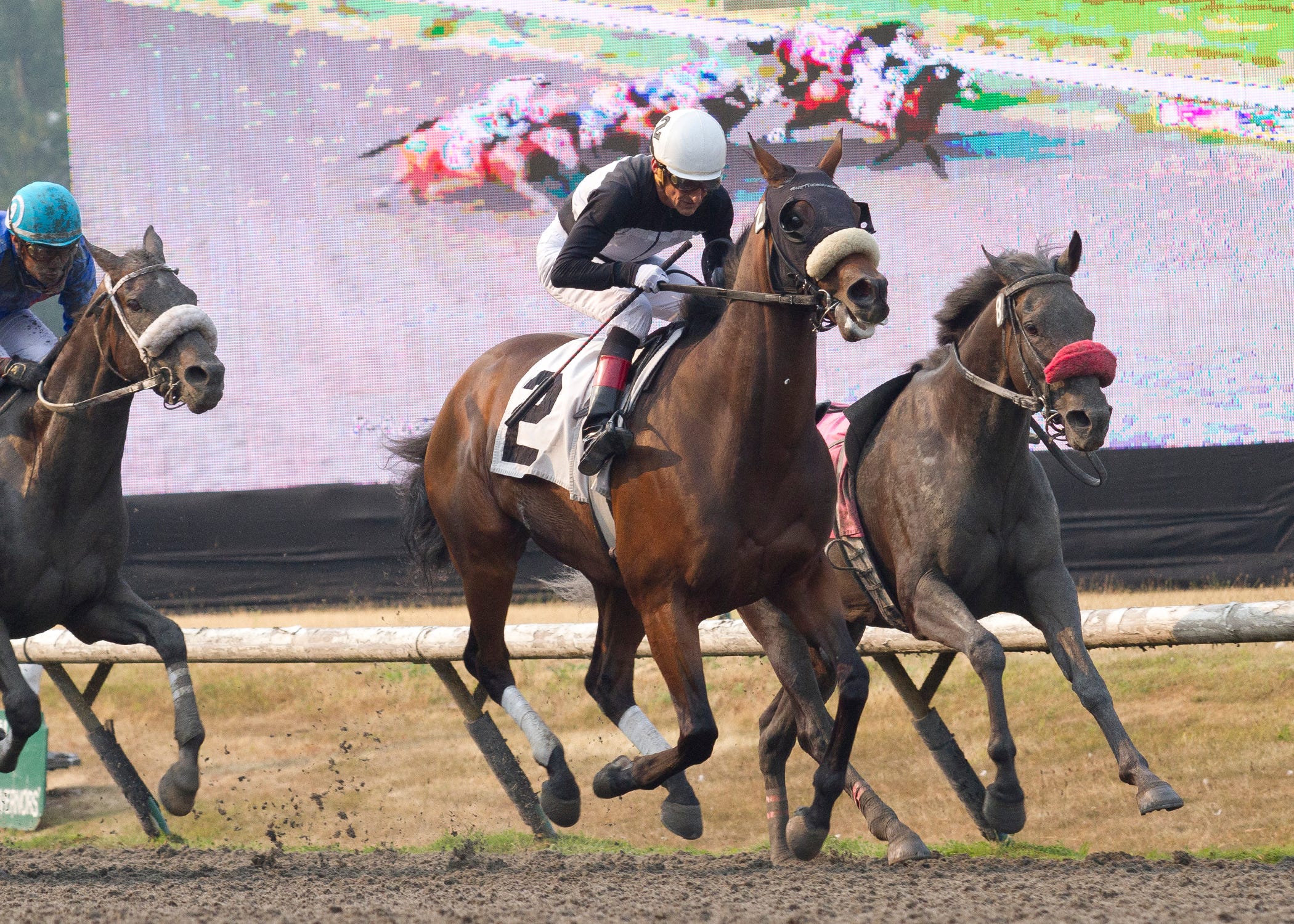 Here's Hannah, Modern among top contenders on competitive B.C. Derby card