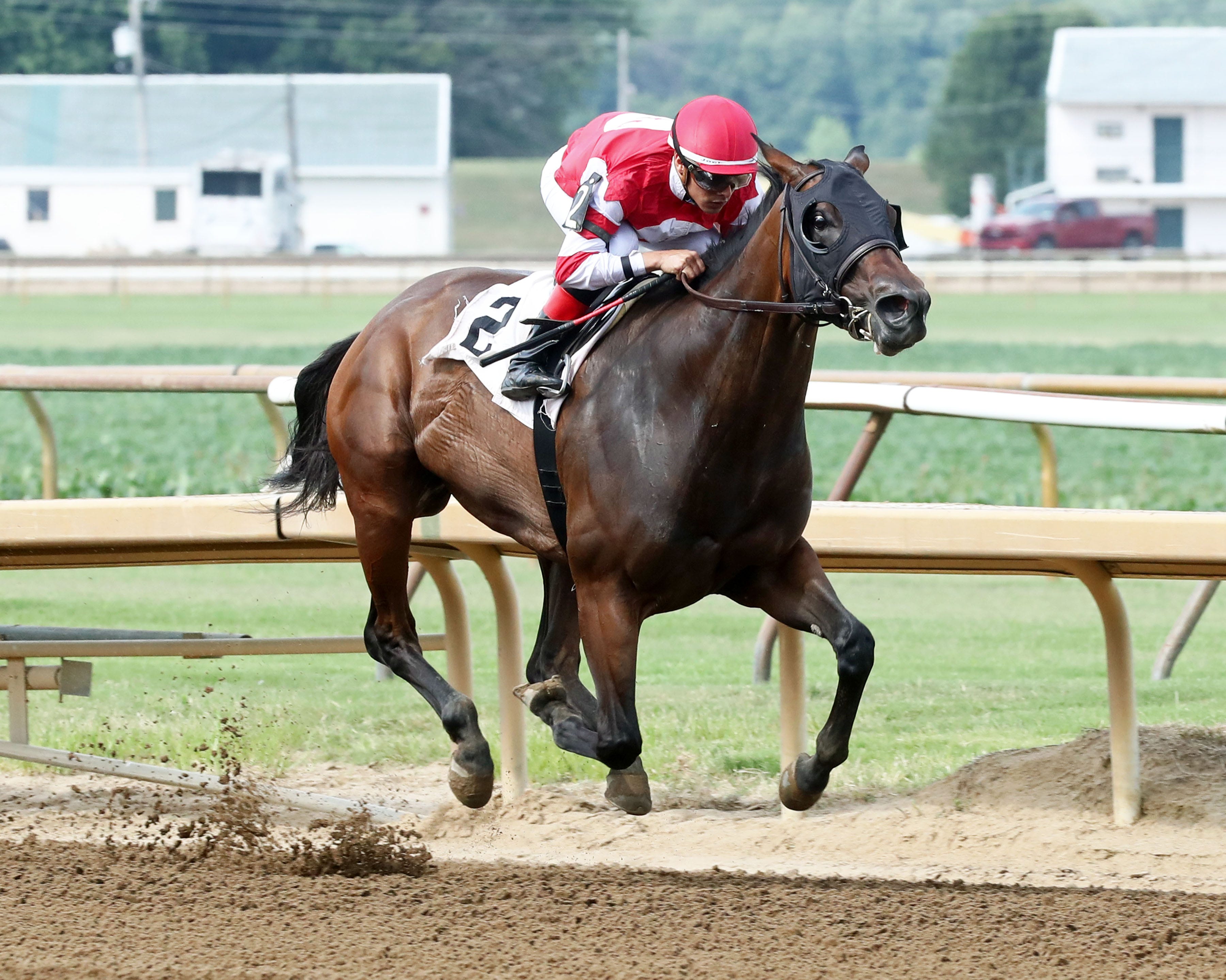 Inside post forces Palm Cottage's hand in Thoroughbred Club of America