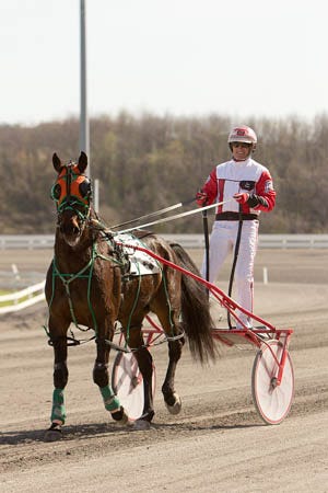 Harness racing: Dave Palone gets career win 15,000