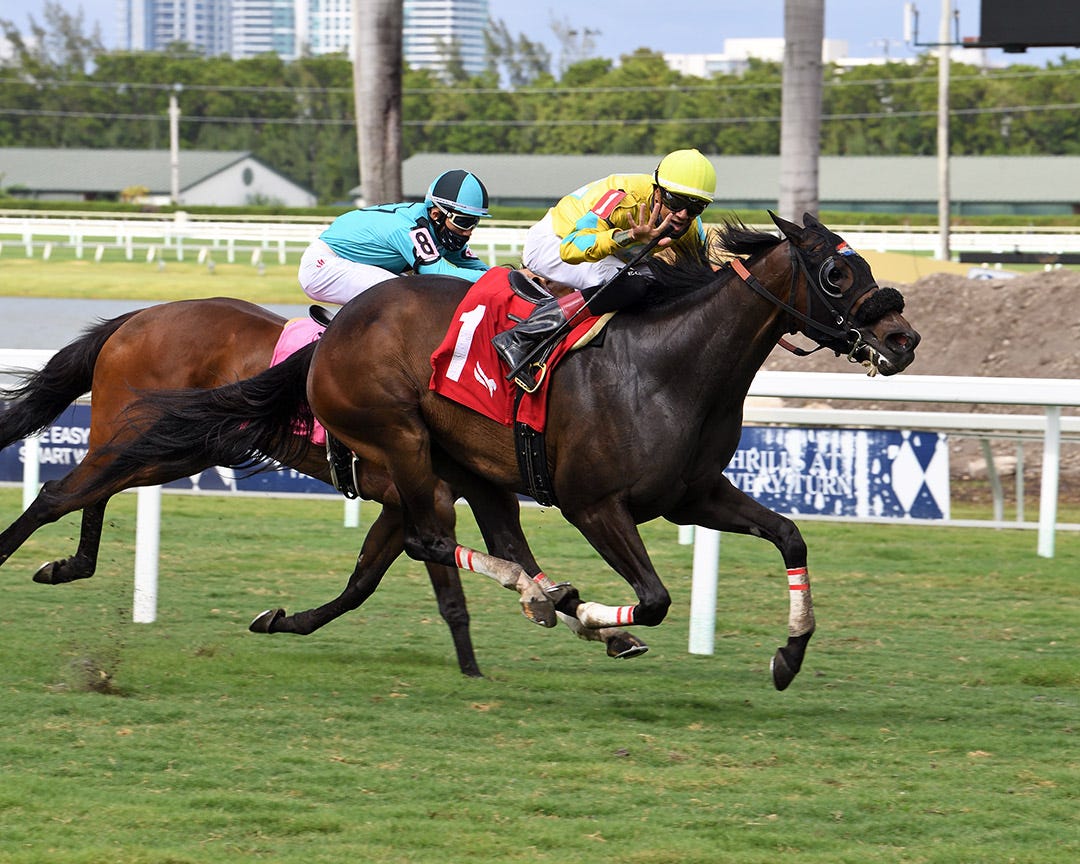 Newcomer Edwin Gonzalez showing he belongs