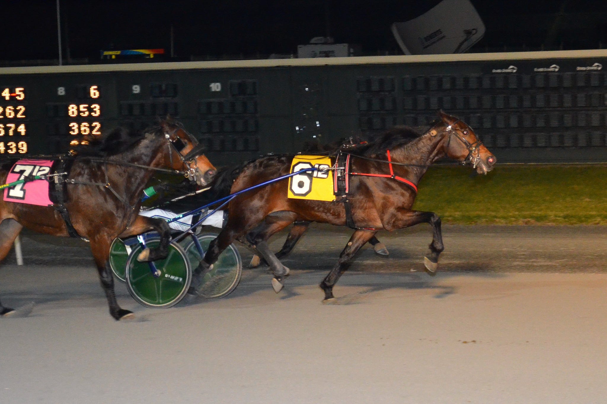 Dover: Pat Matters shatters track record with 1:51 2/5 win