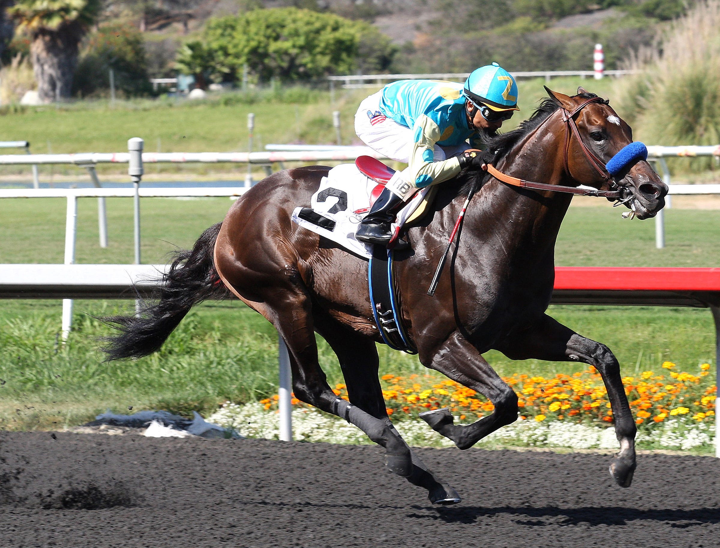 Paynter's return a year in the making