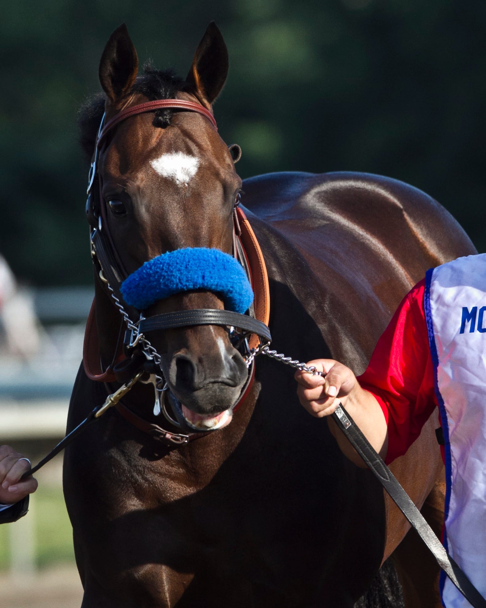 Paynter showing more improvement