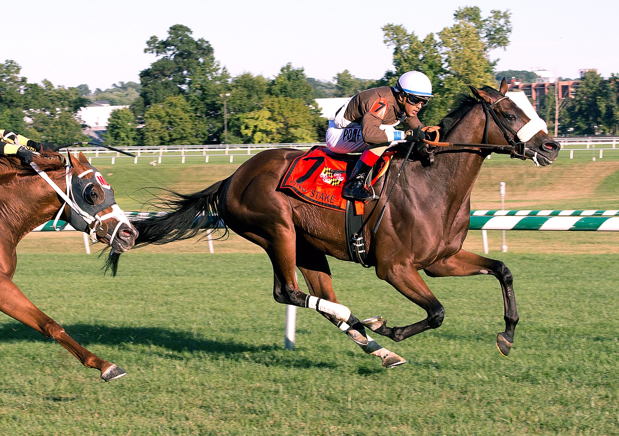 Phlash Phelps shows he's a fighter