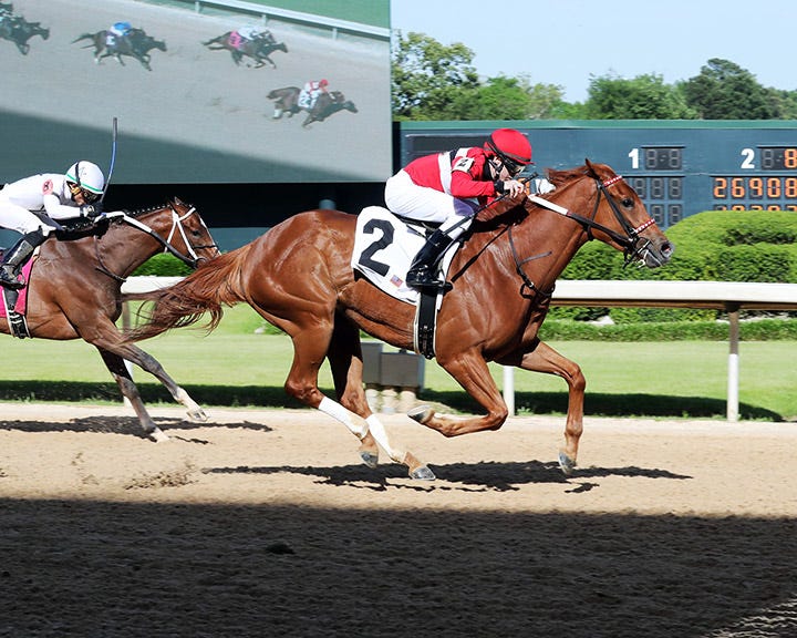 Rice entrants have complementary running styles
