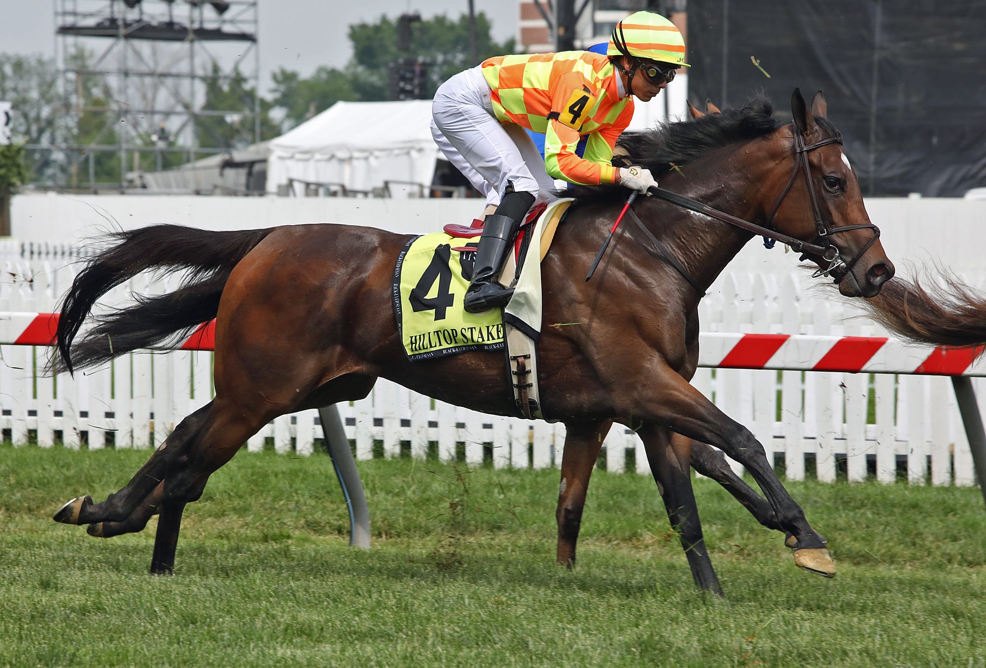 Pizza Bianca will switch to Motion for American Oaks