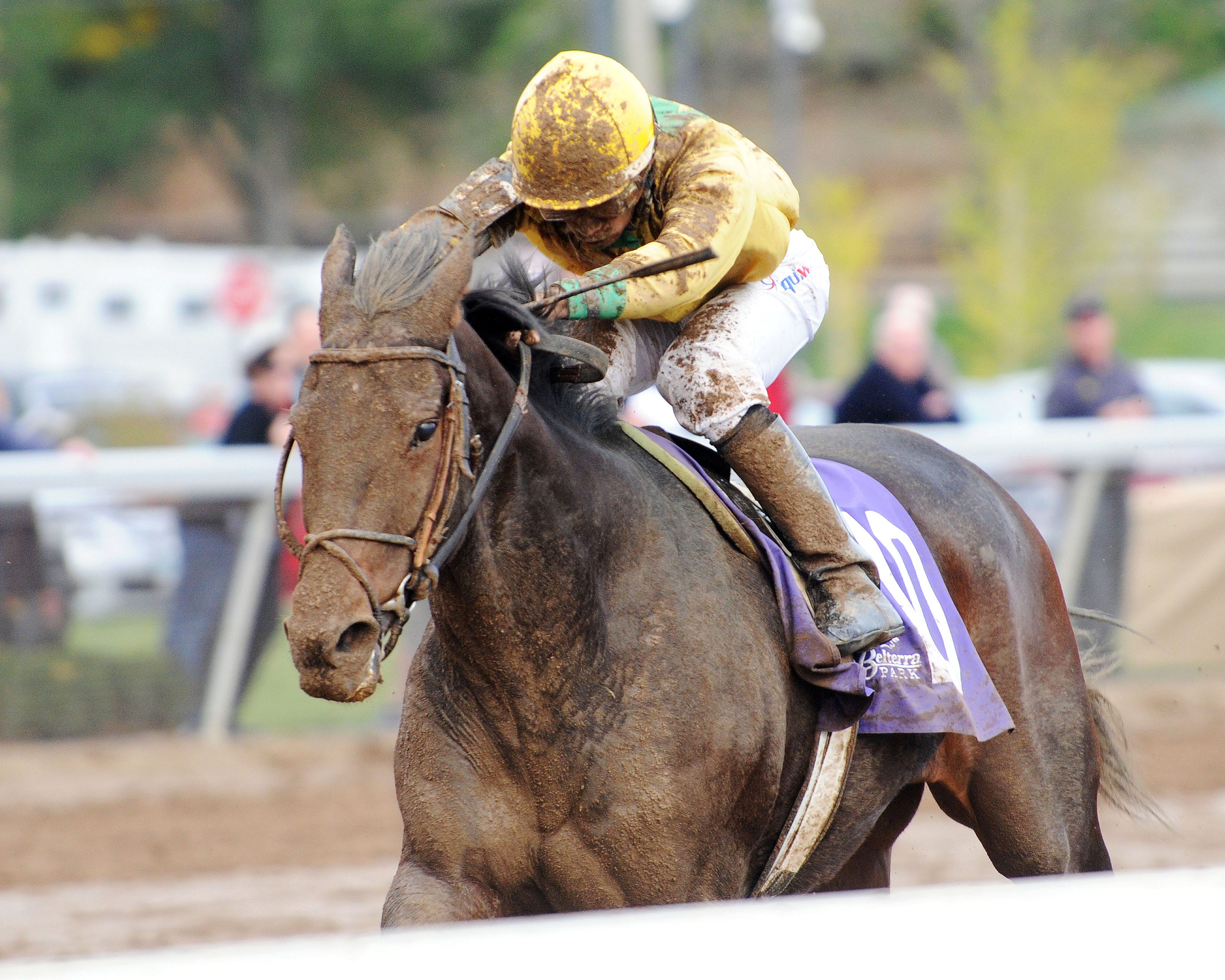 Plain Ol' Willard tries to stay hot in Ruff/Kirchberg Memorial