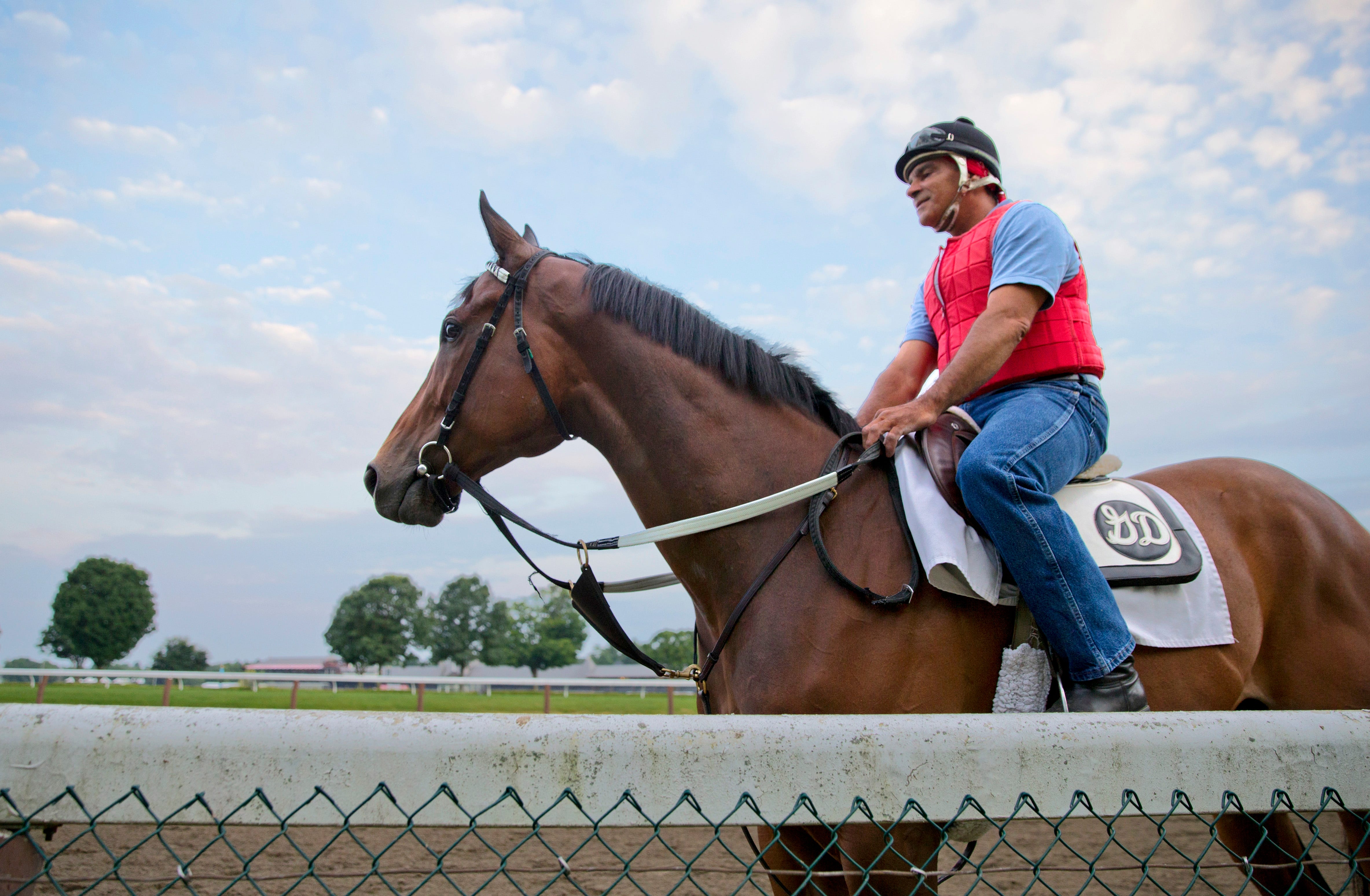 Dowse’s Beach figures to sit nice trip