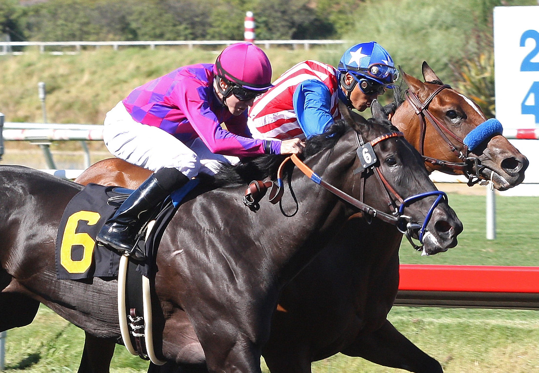 Hollywood Park: Potesta noses out Eden's Moon in Hollywood Oaks