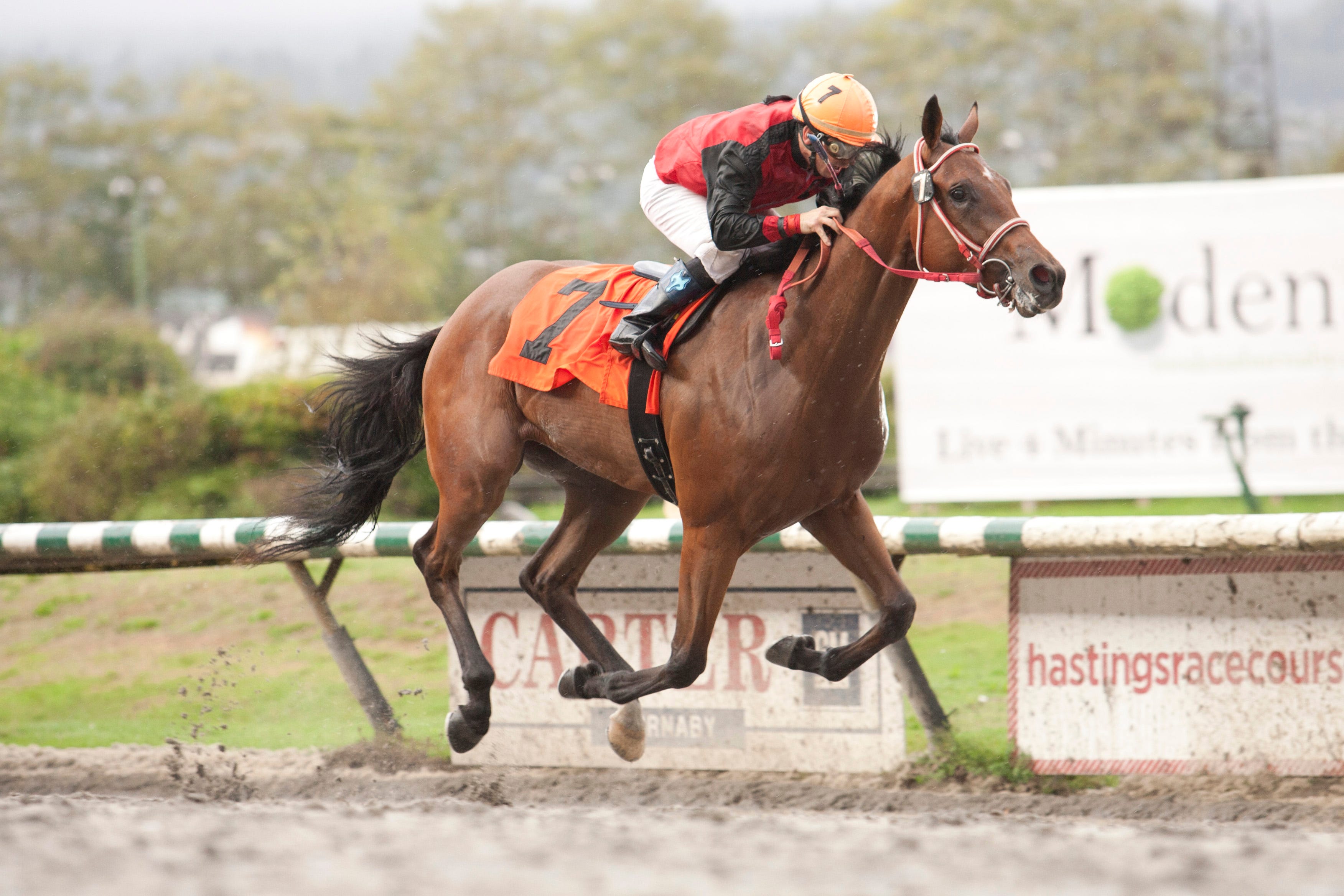 Silent Native can keep trainer rolling