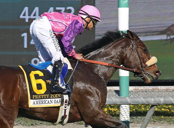 Pretty Point fixed on turf distance races