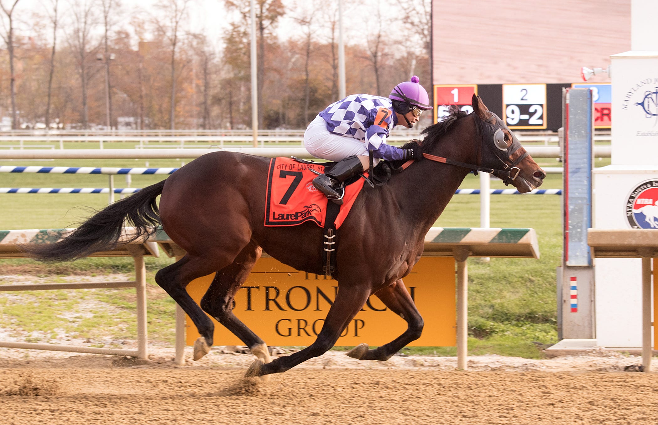 Prince of Hempt continues ascension in City of Laurel Stakes