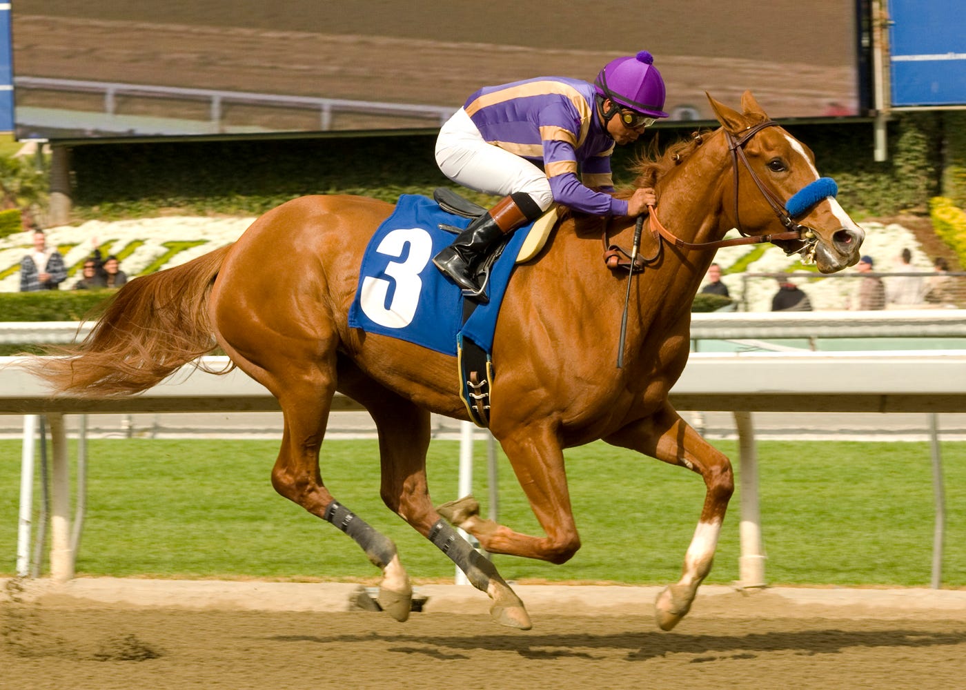 Santa Anita: Princess Arabella stays perfect with easy allowance win