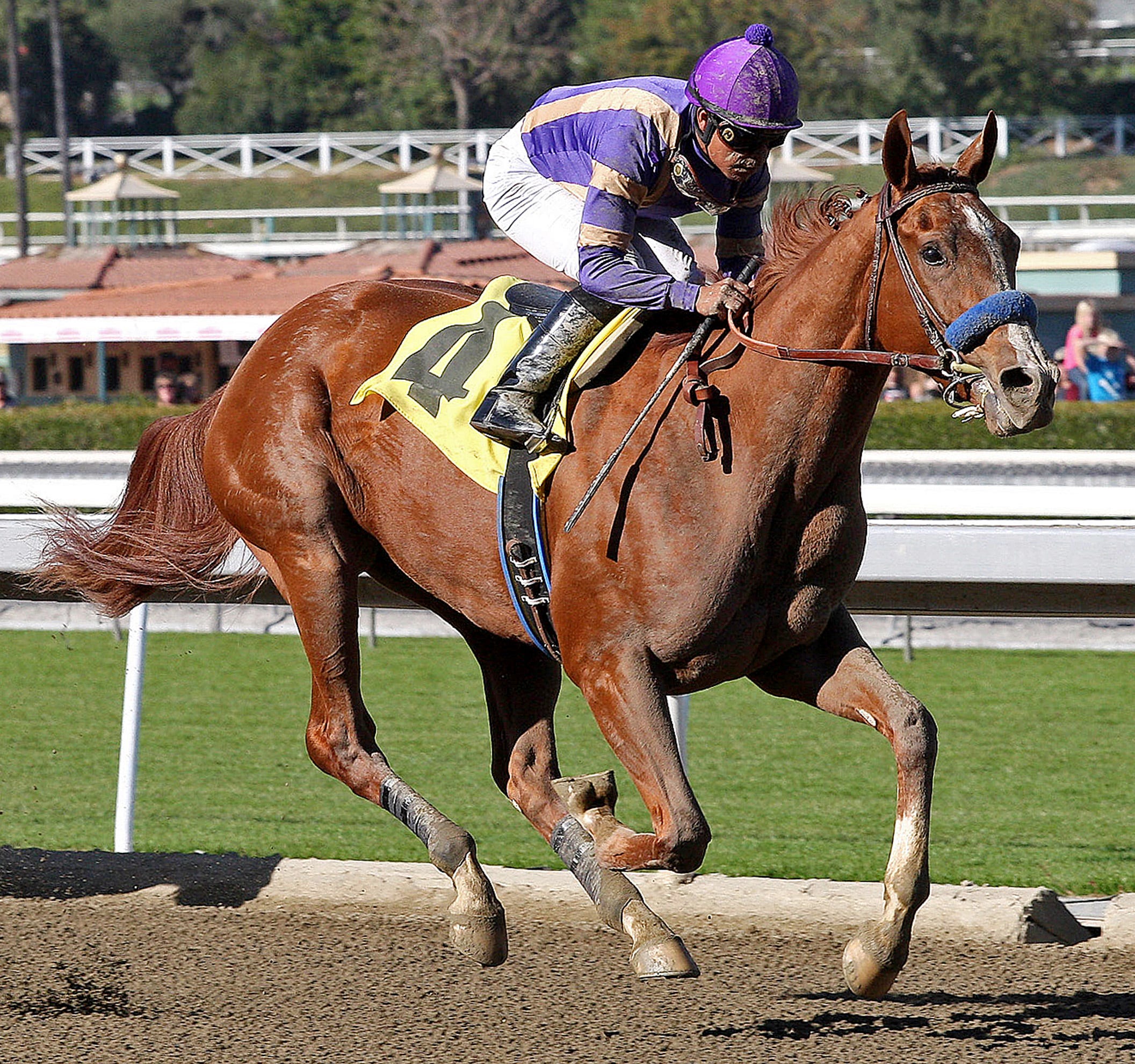 Santa Anita: Princess Arabella looks like short price against four foes