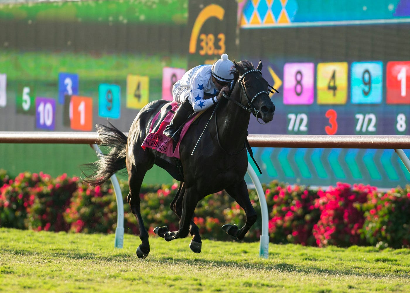 Princess Grace makes Yellow Ribbon third stakes victory in row