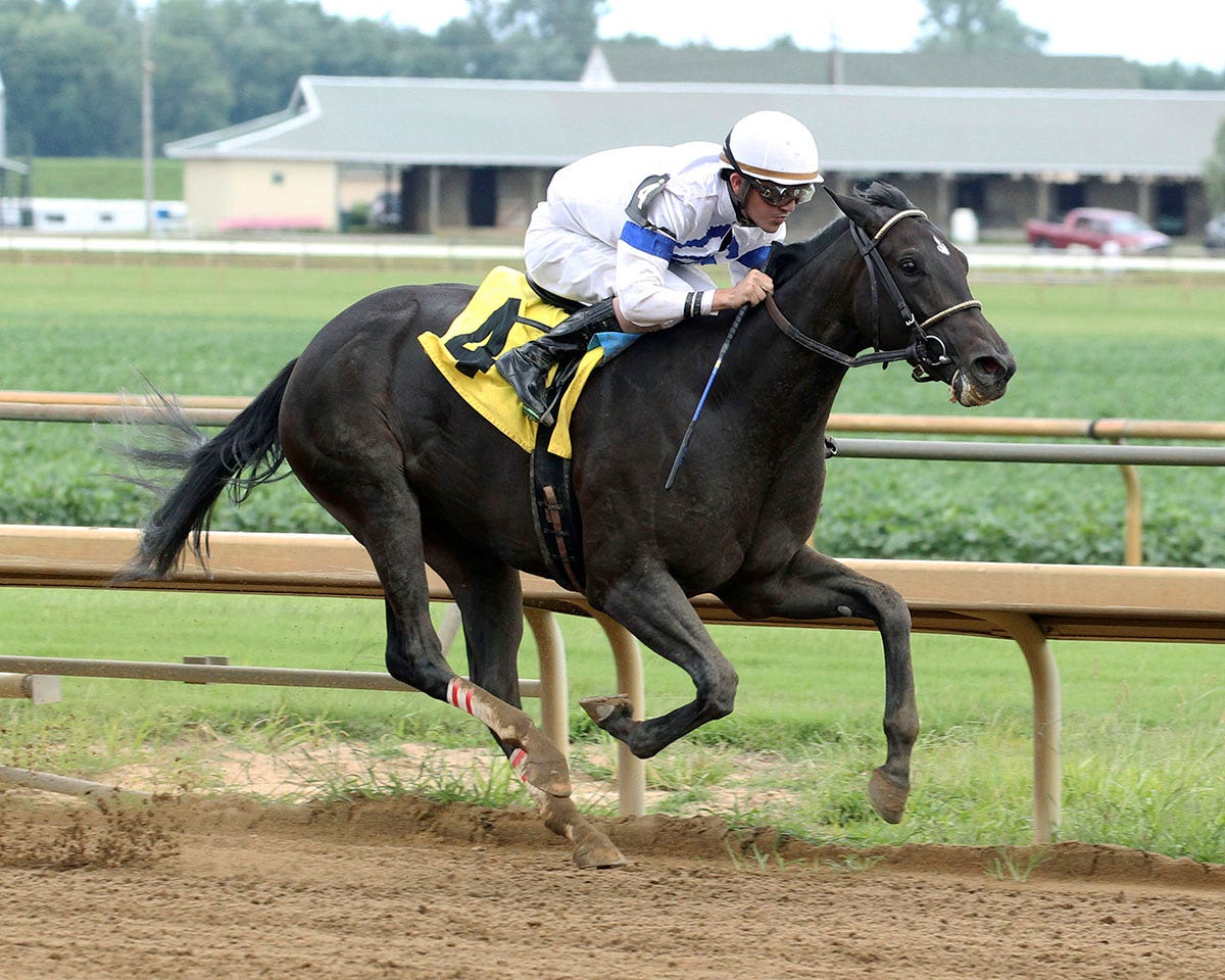 Profound Legacy shows flashes of big sister in allowance win