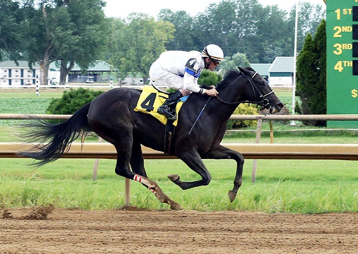 Profound Legacy sheds blinkers for allowance route