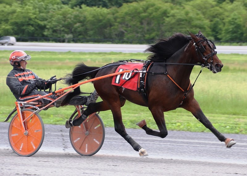 Harness: Busy day for Julie Miller and Ron Burke in Gaitway freshmen races