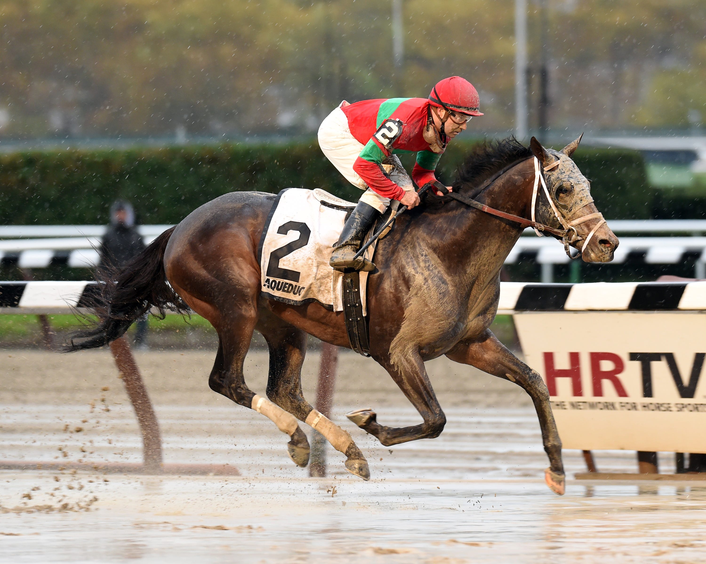 Protonico goes from last to first in Discovery