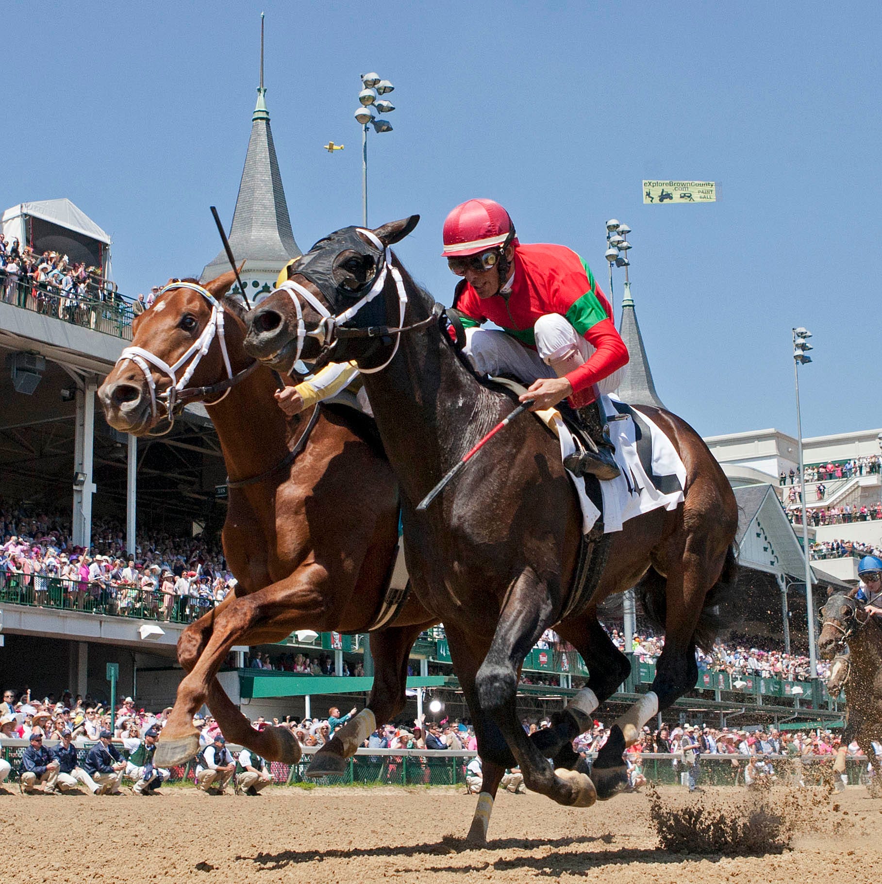 Protonico retired to stand at Taylor Made Farm