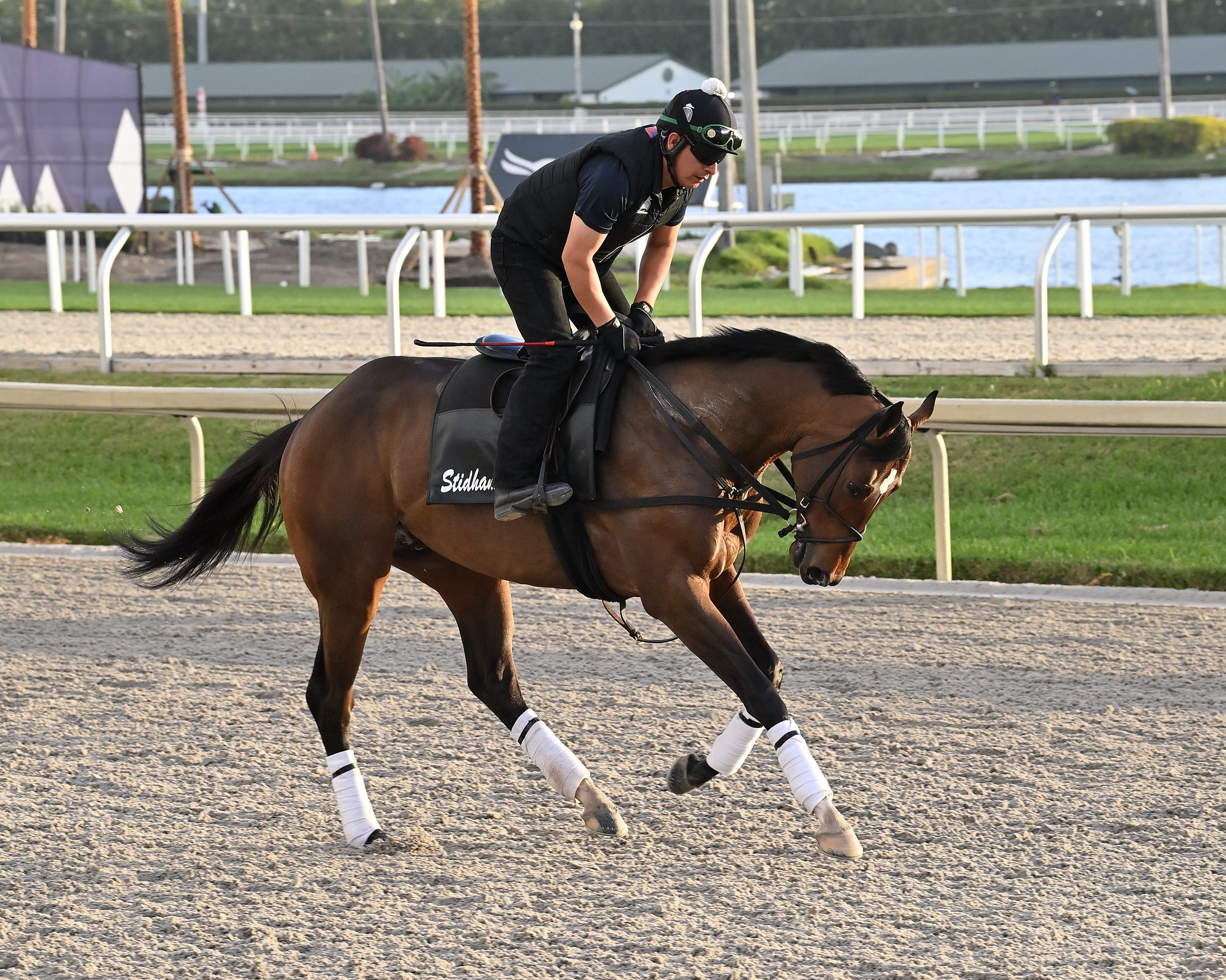 Stidham: Draw a line through Proxy's Pegasus performance