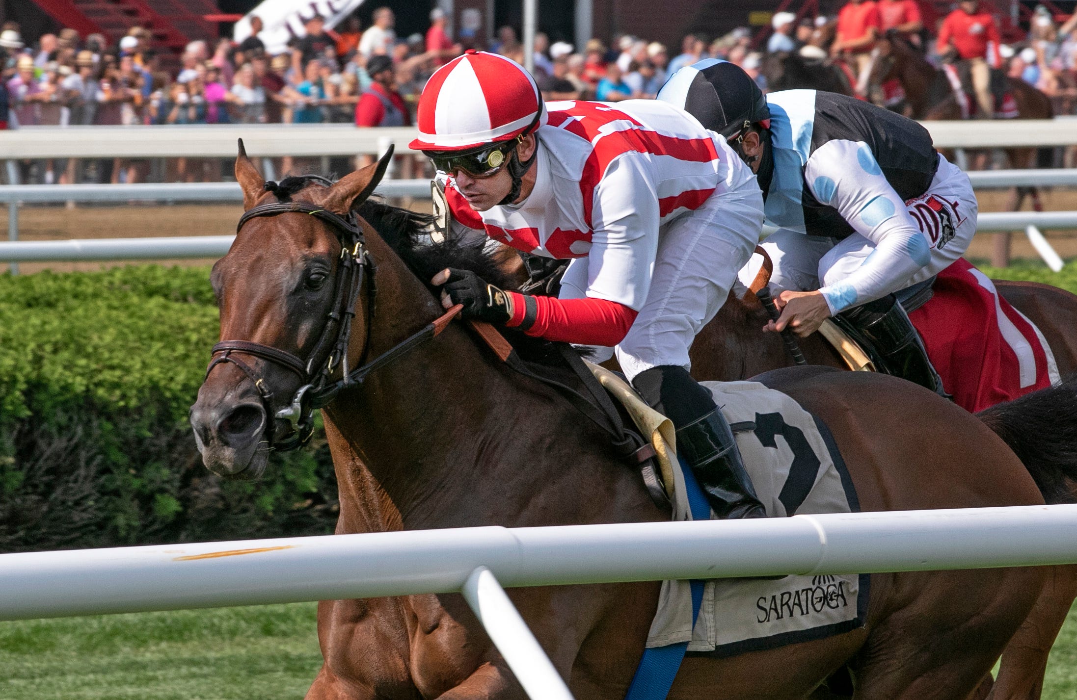 El inglés Public Sector respondió al favoritismo en el National Museum ...