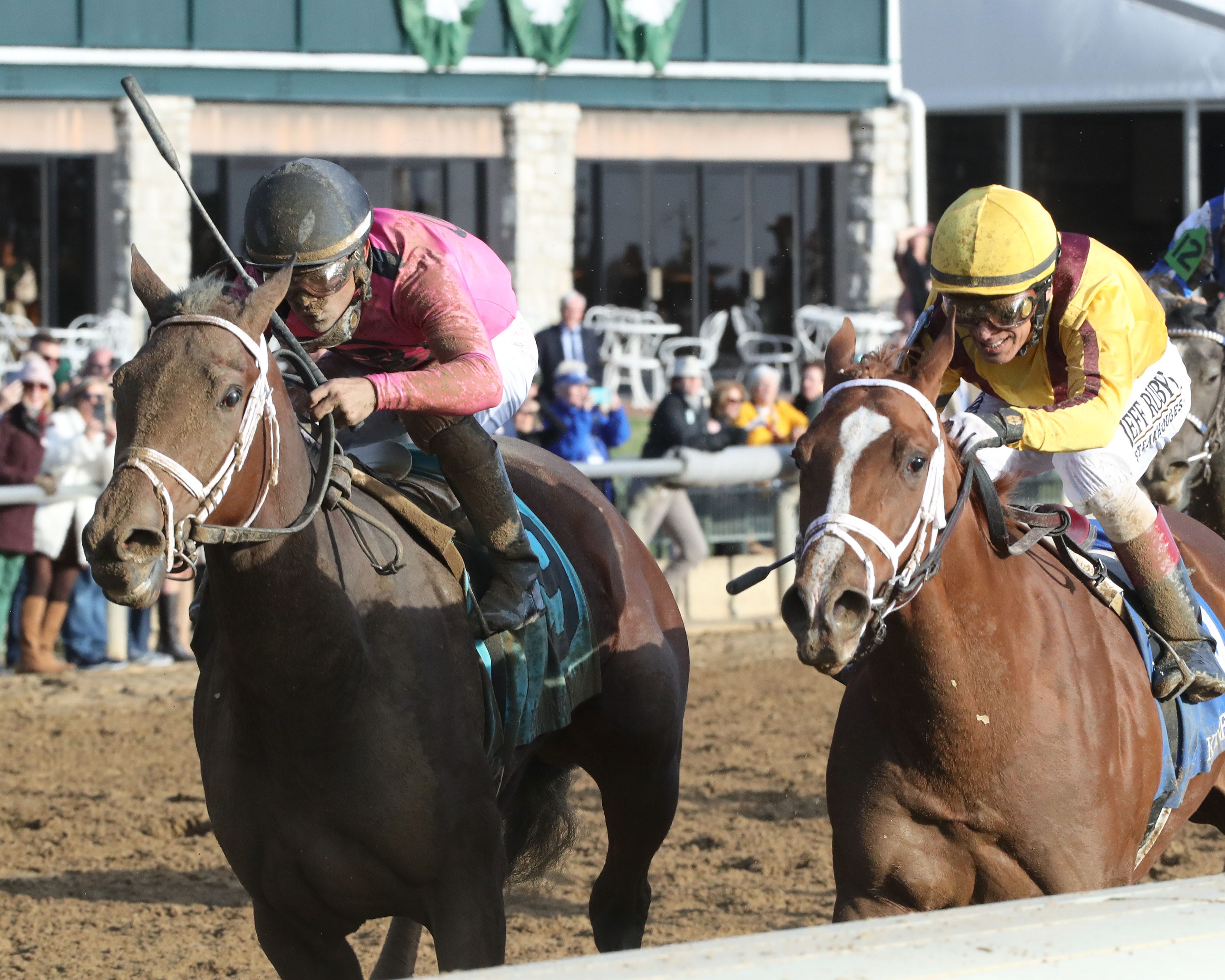 Dead-heat for first a rare first for Pletcher