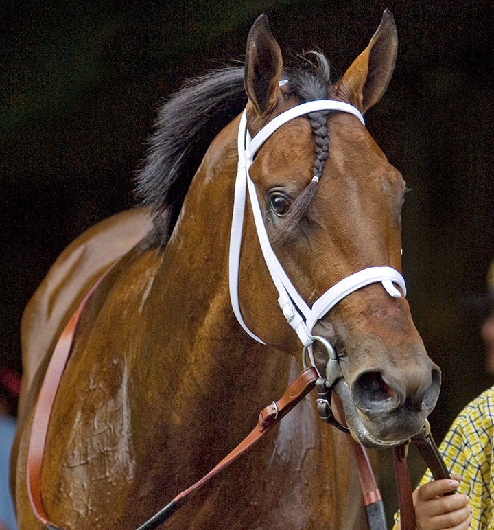 Quality Road takes another price jump in 2020; will stand for $200,000