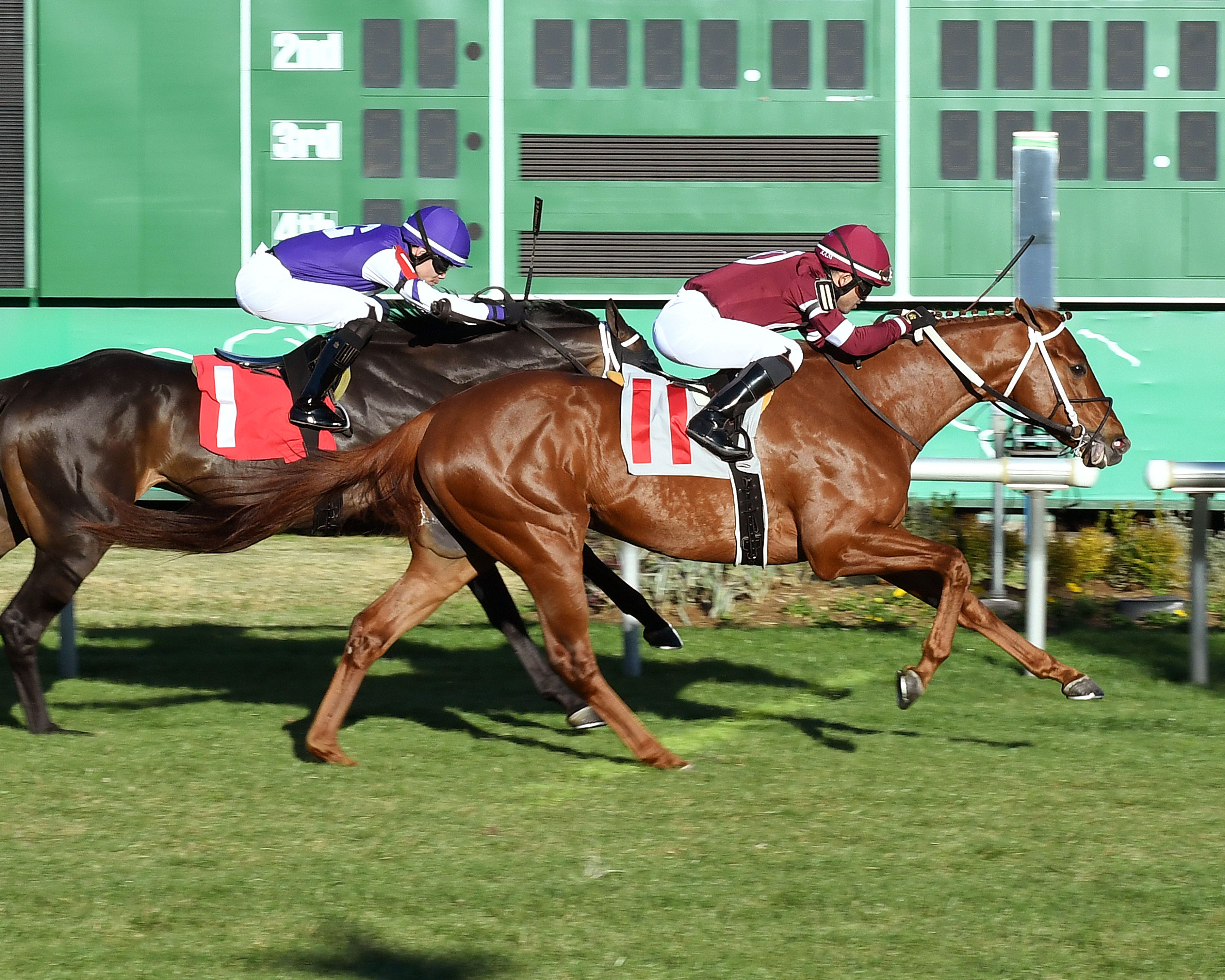 Red Run surges in Texas Turf Mile