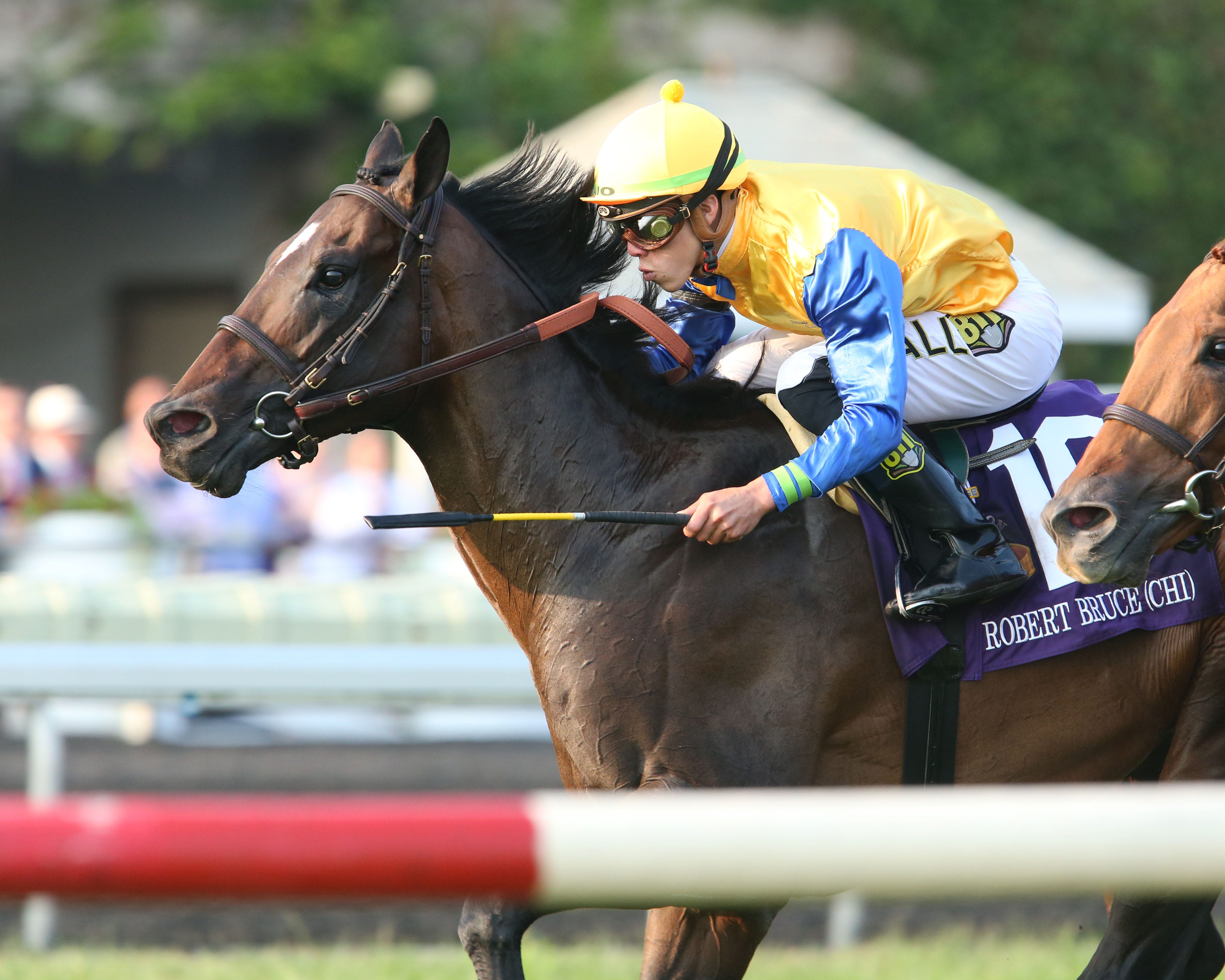 Watchmaker: Robert Bruce atop male turf division – for now