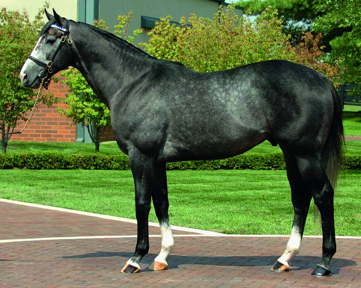 Hot sire: Rockport Harbor