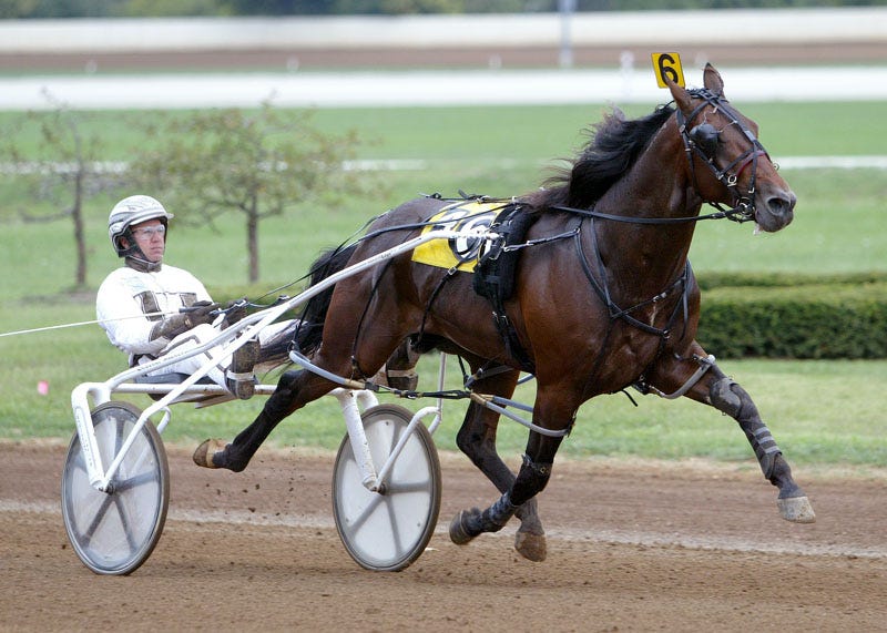 Harness Racing: Fond memories of Rocknroll Hanover