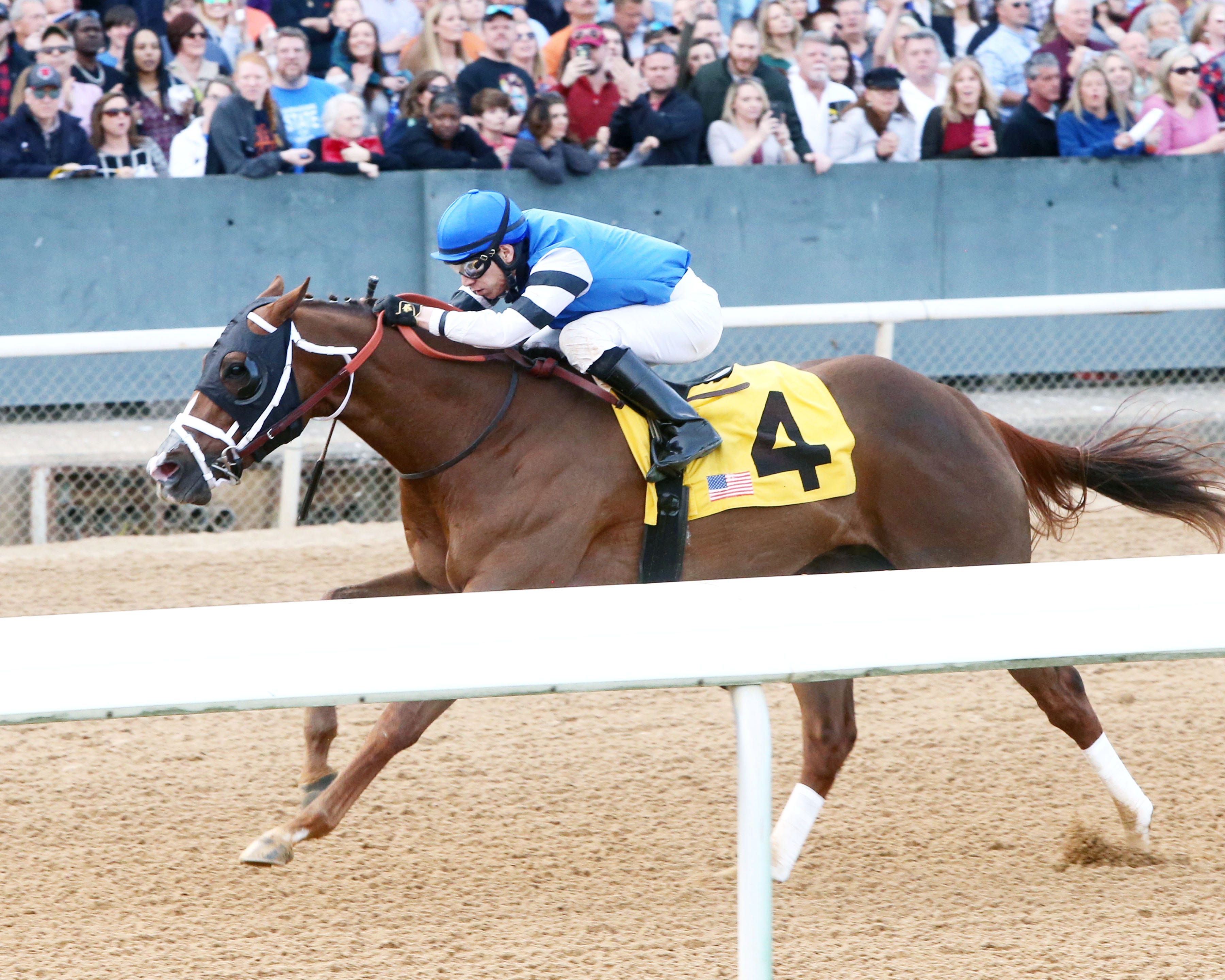 Rockshaw sizzles winning Gazebo by four lengths