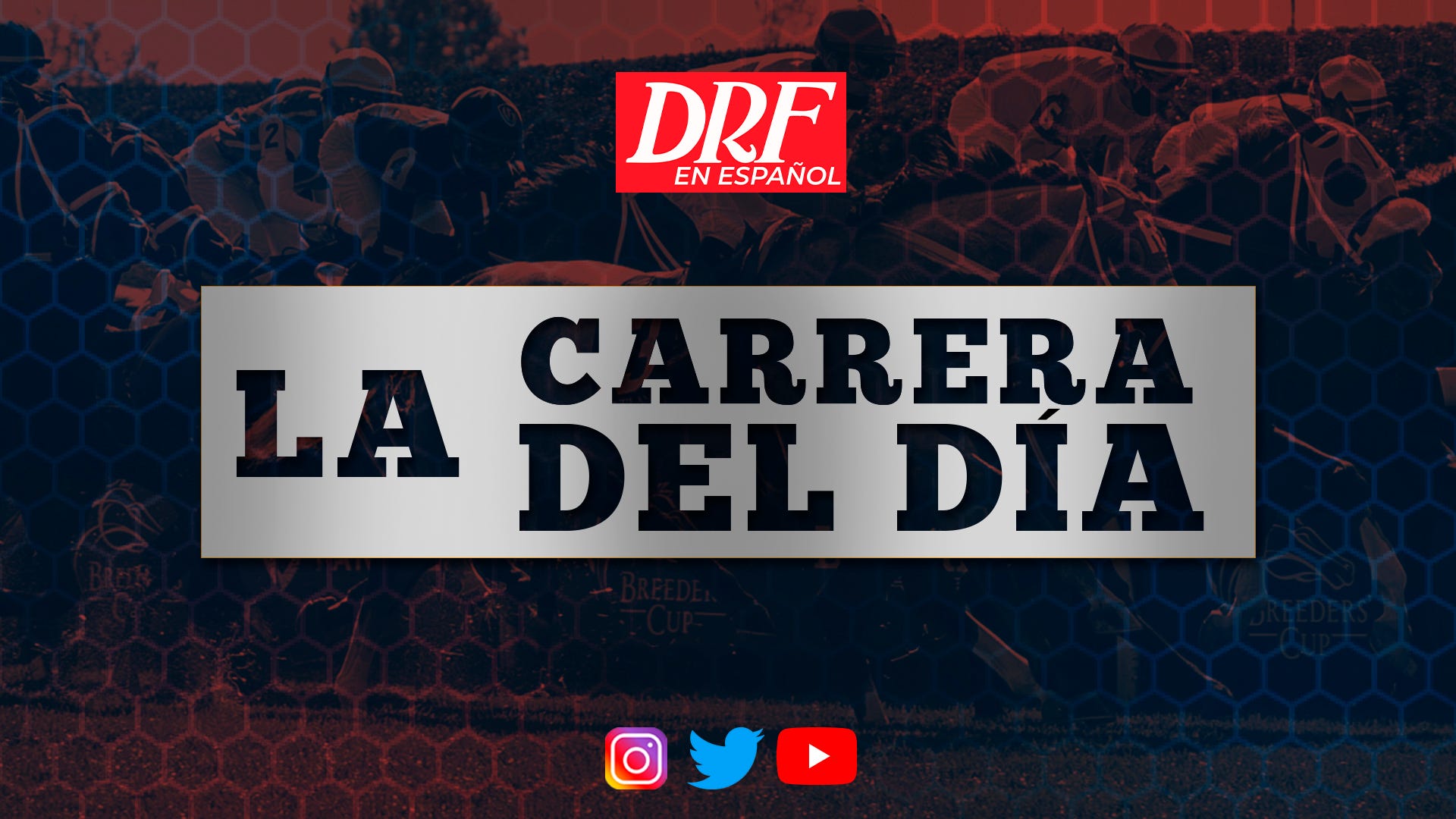 La Carrera del Día de DRF - 22 de noviembre