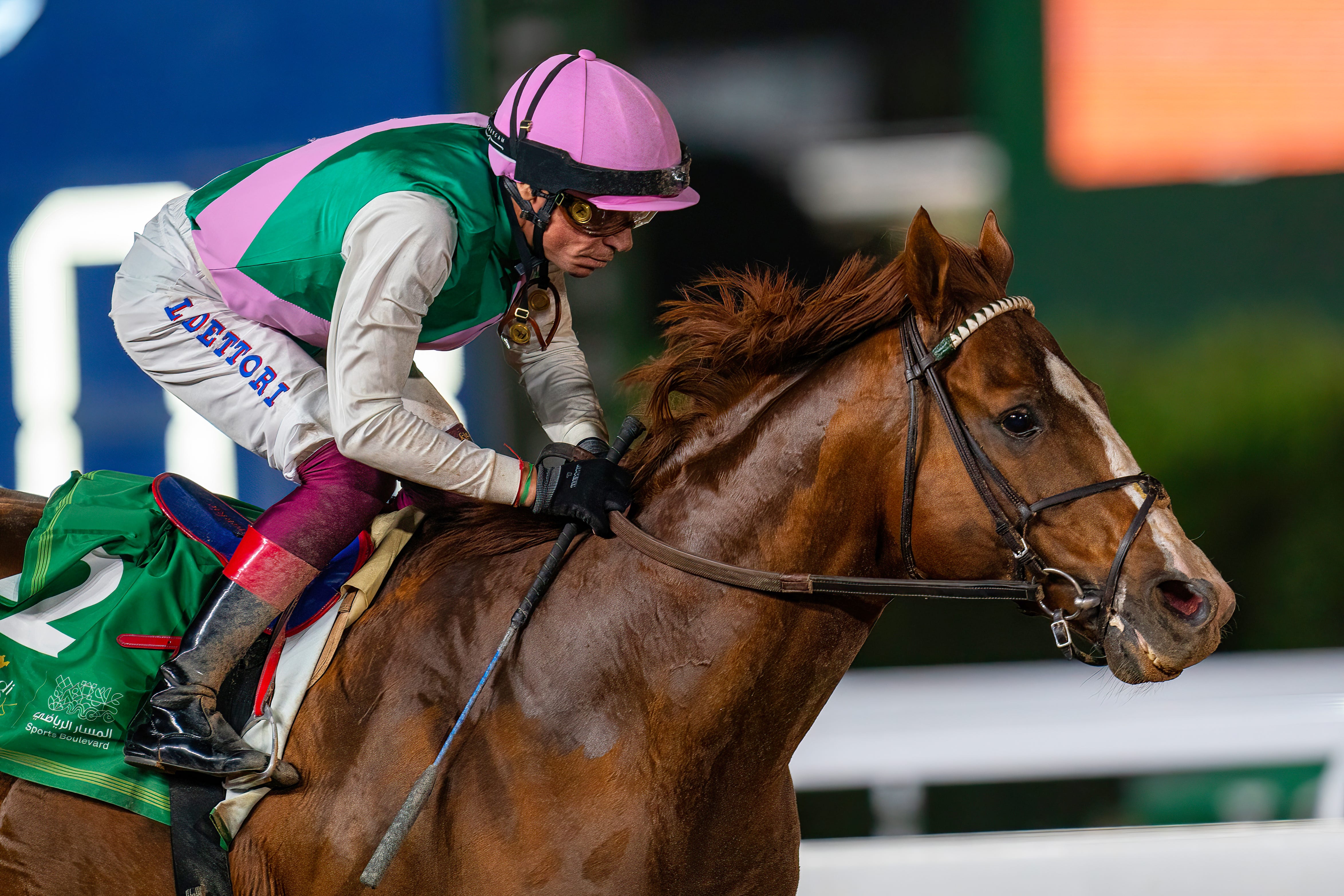 Elite Power to target True North Stakes over Met Handicap, Mott says