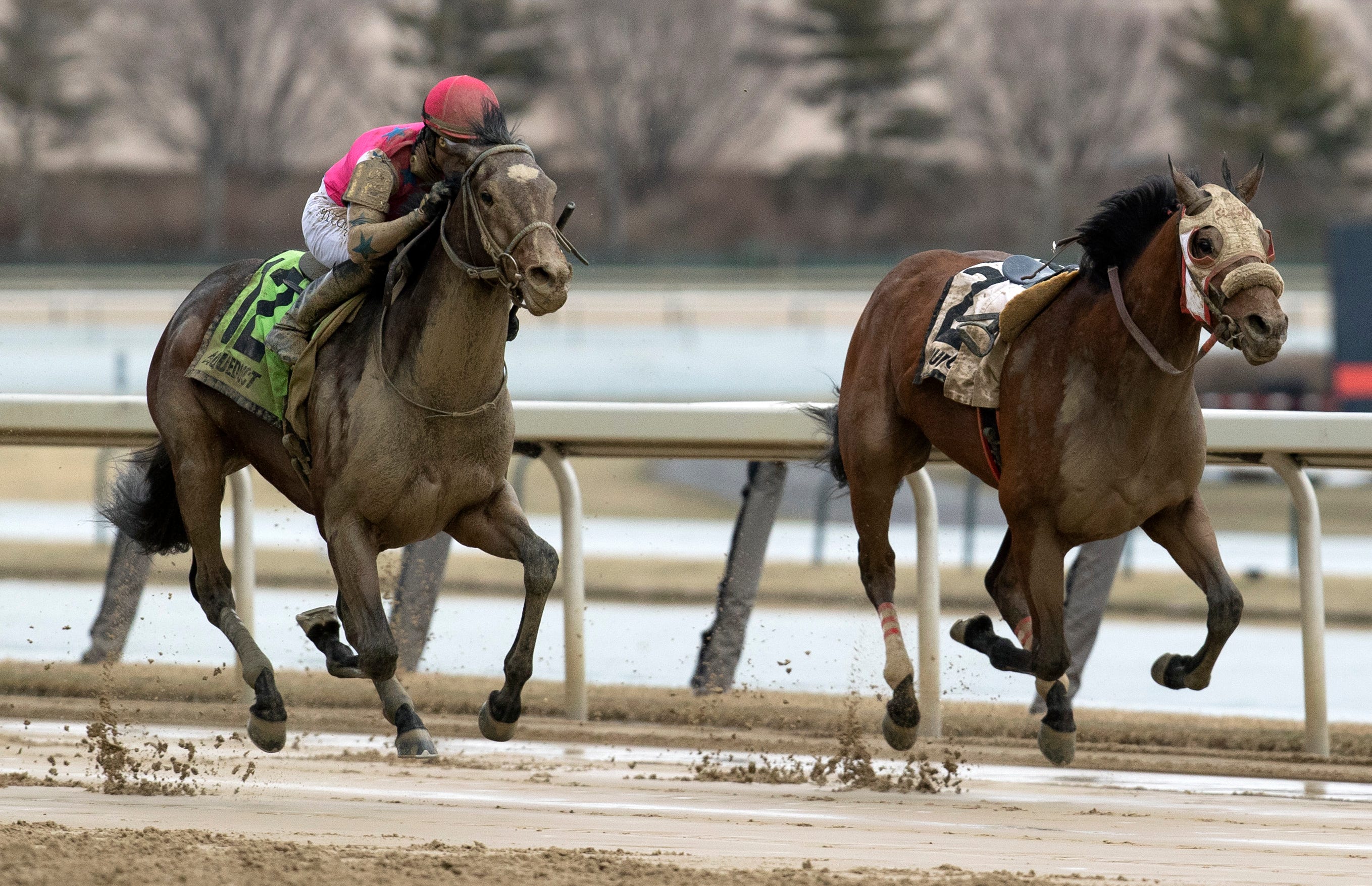 Road to the 2023 Kentucky Derby: Gotham analysis