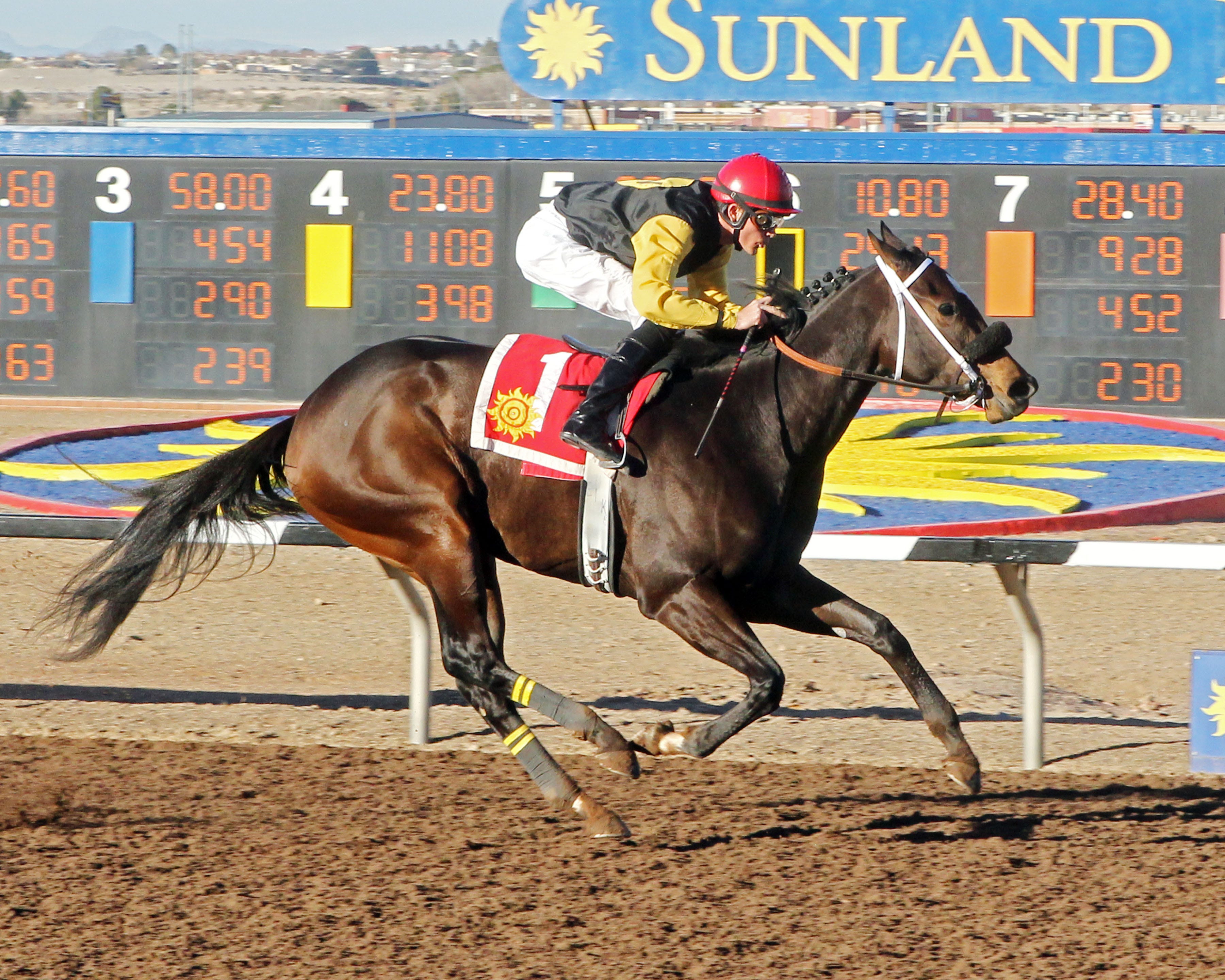 Delta Downs: Ramona’s Wildcat puts unbeaten streak on line in Azalea