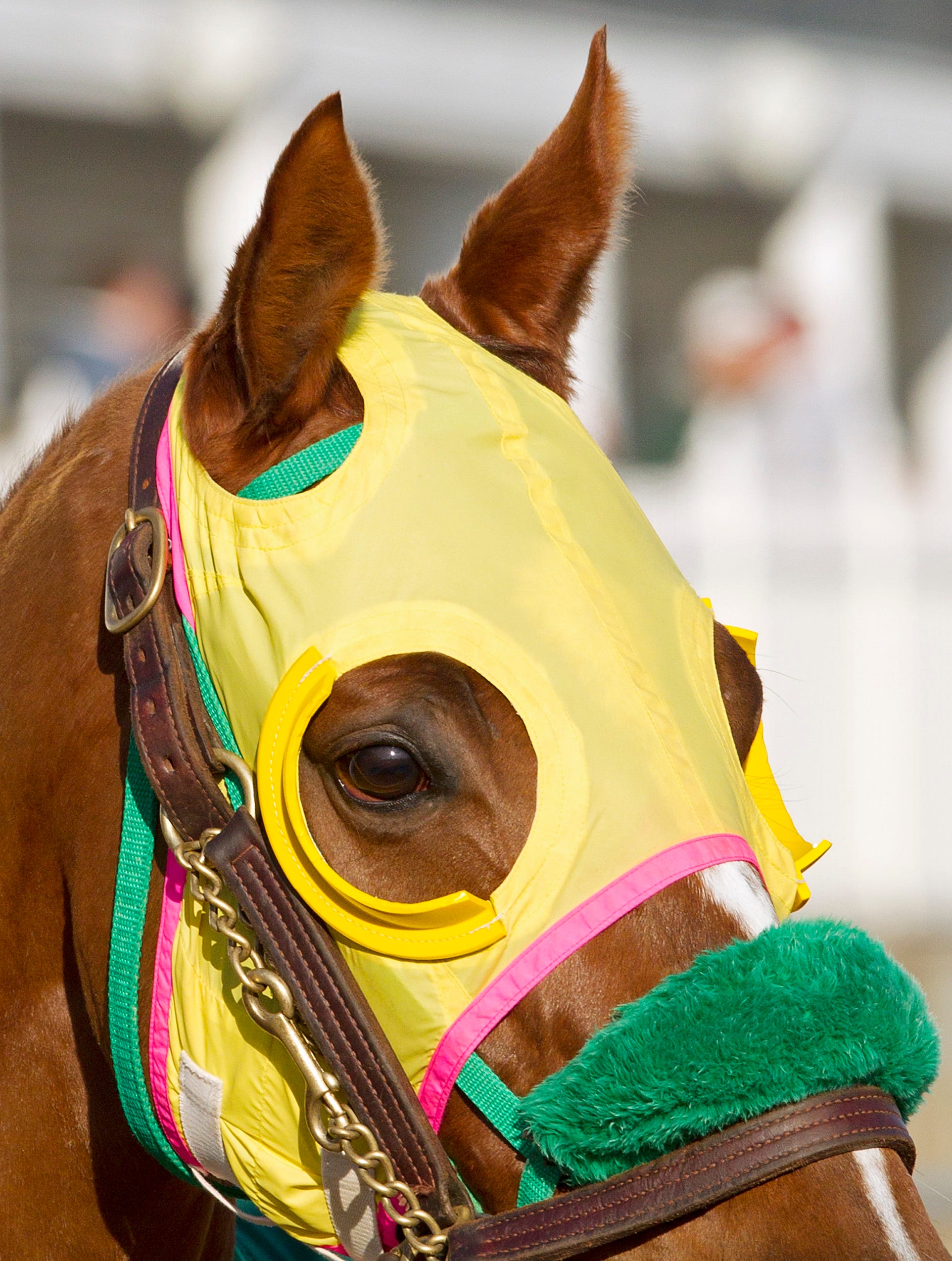 The 10 most unbreakable records in racing