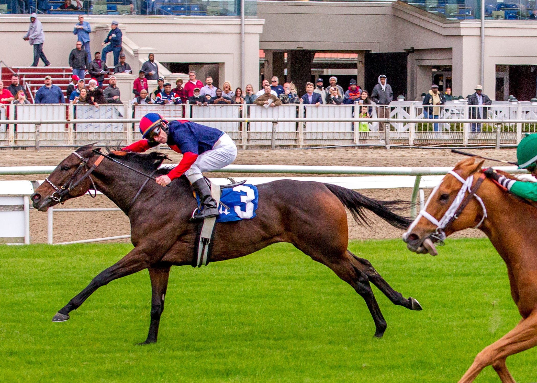 Rapid Rhythm continues love affair with Fair Grounds turf in Mardi Gras