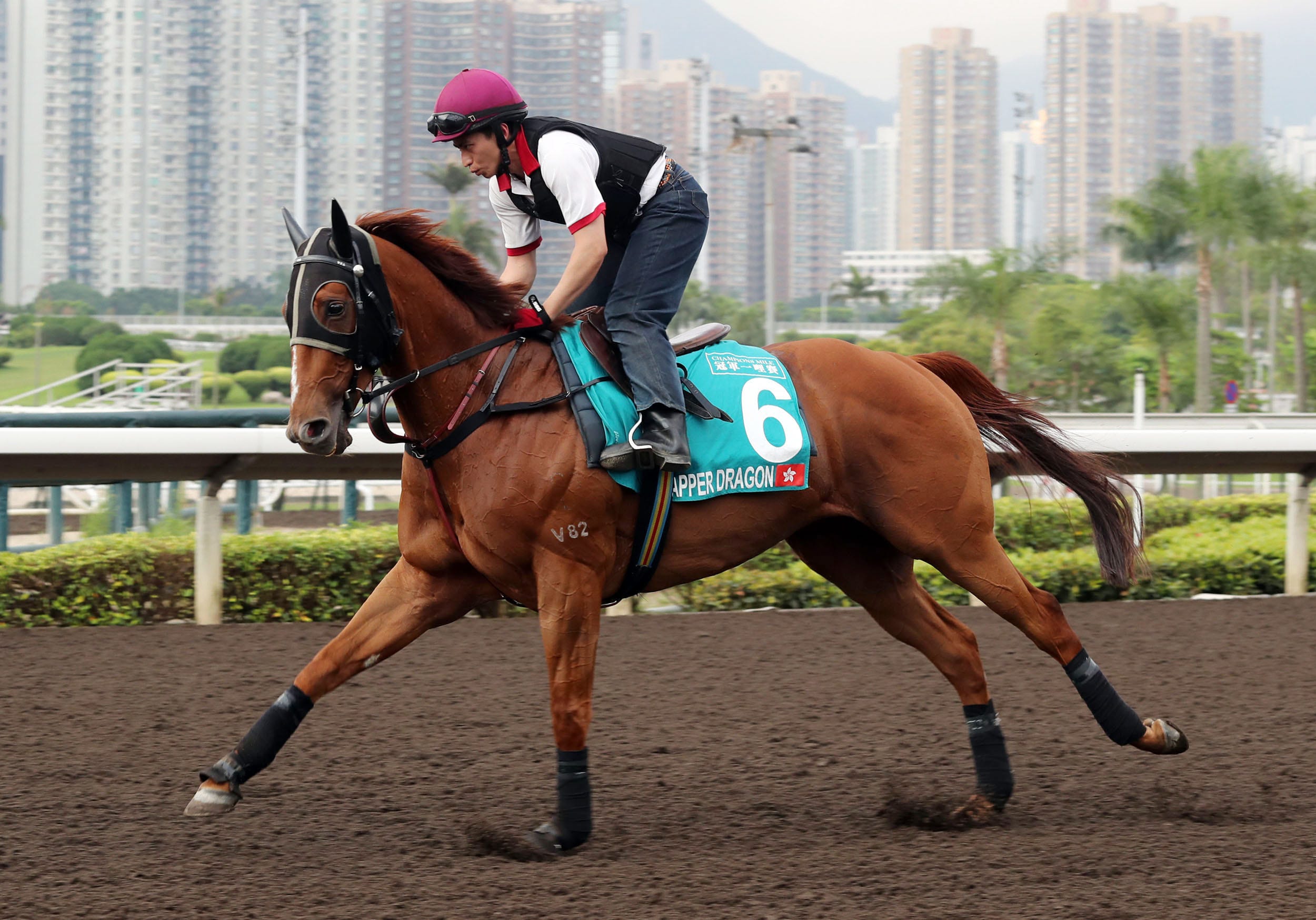 Hong Kong: Rapper Dragon gets Group 1 test in Champions Mile