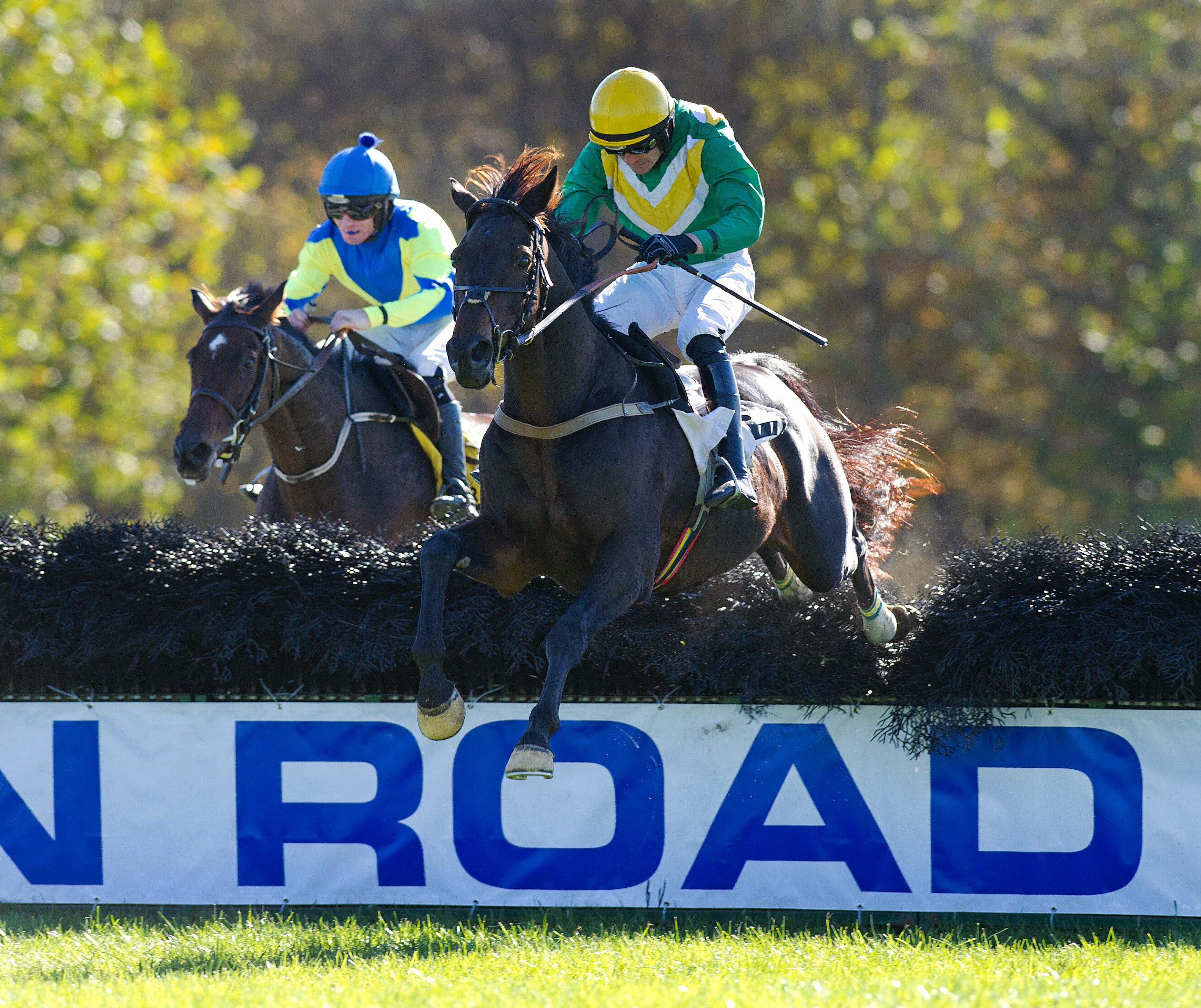 2016 Eclipse Awards: Rawnaq